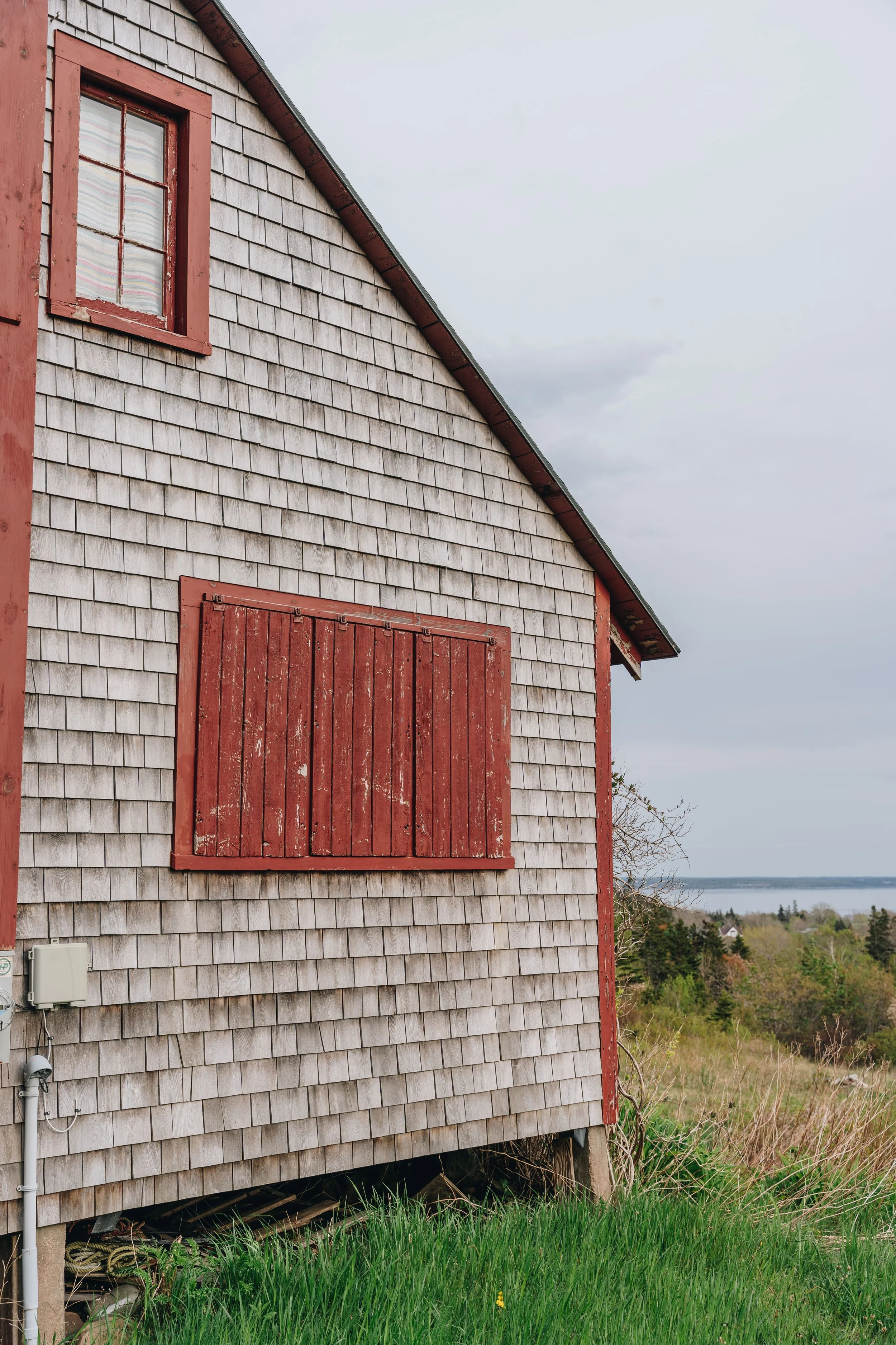 [N-É, Digby] Mount Shubel — On va se promener