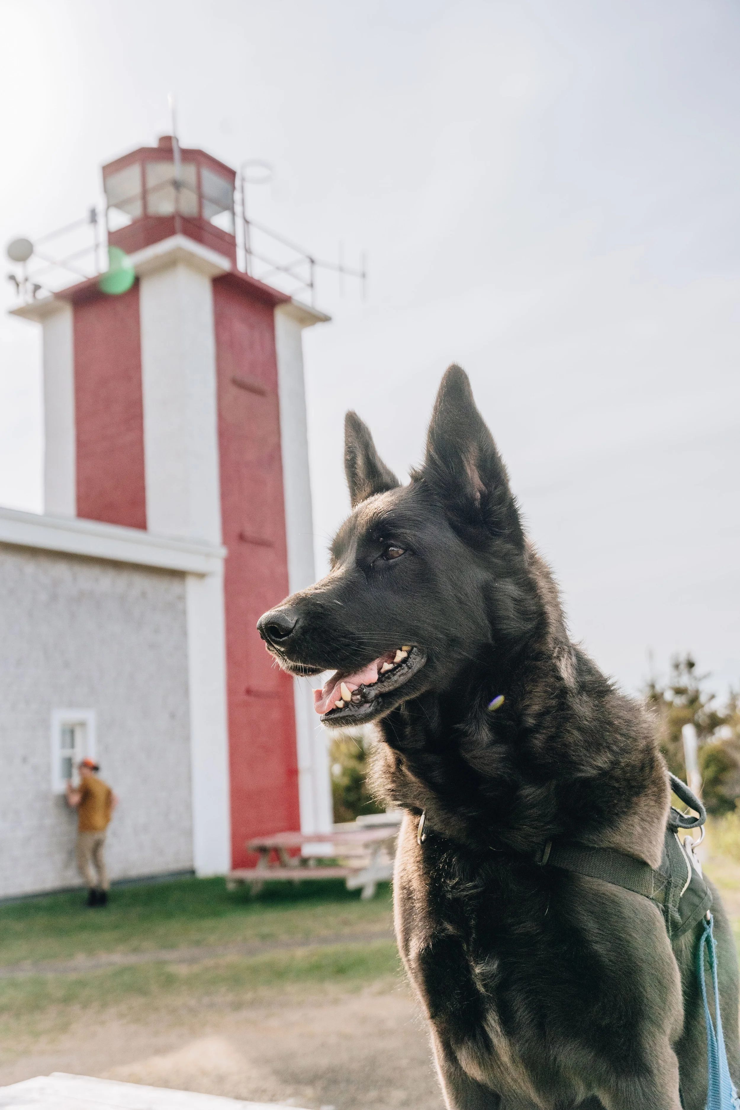 [N-É, Digby] Point Prim Lighthouse — On va se promener