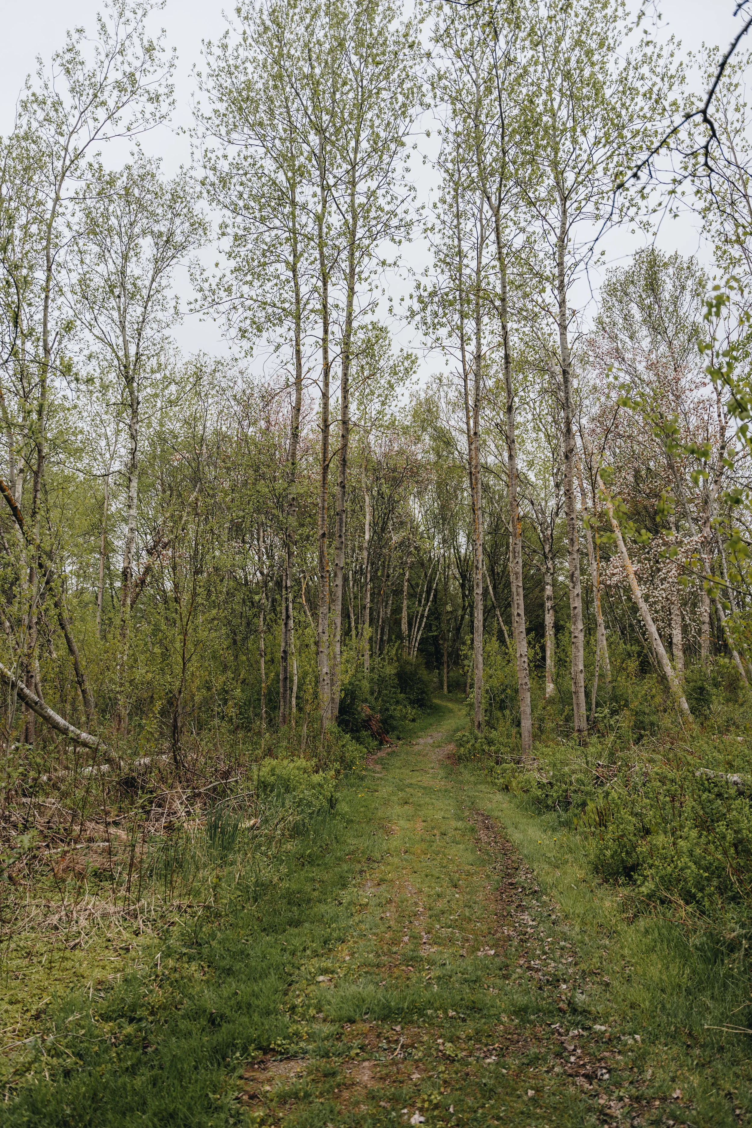 [N-É, Maitland] Parc provincial Anthony — On va se promener