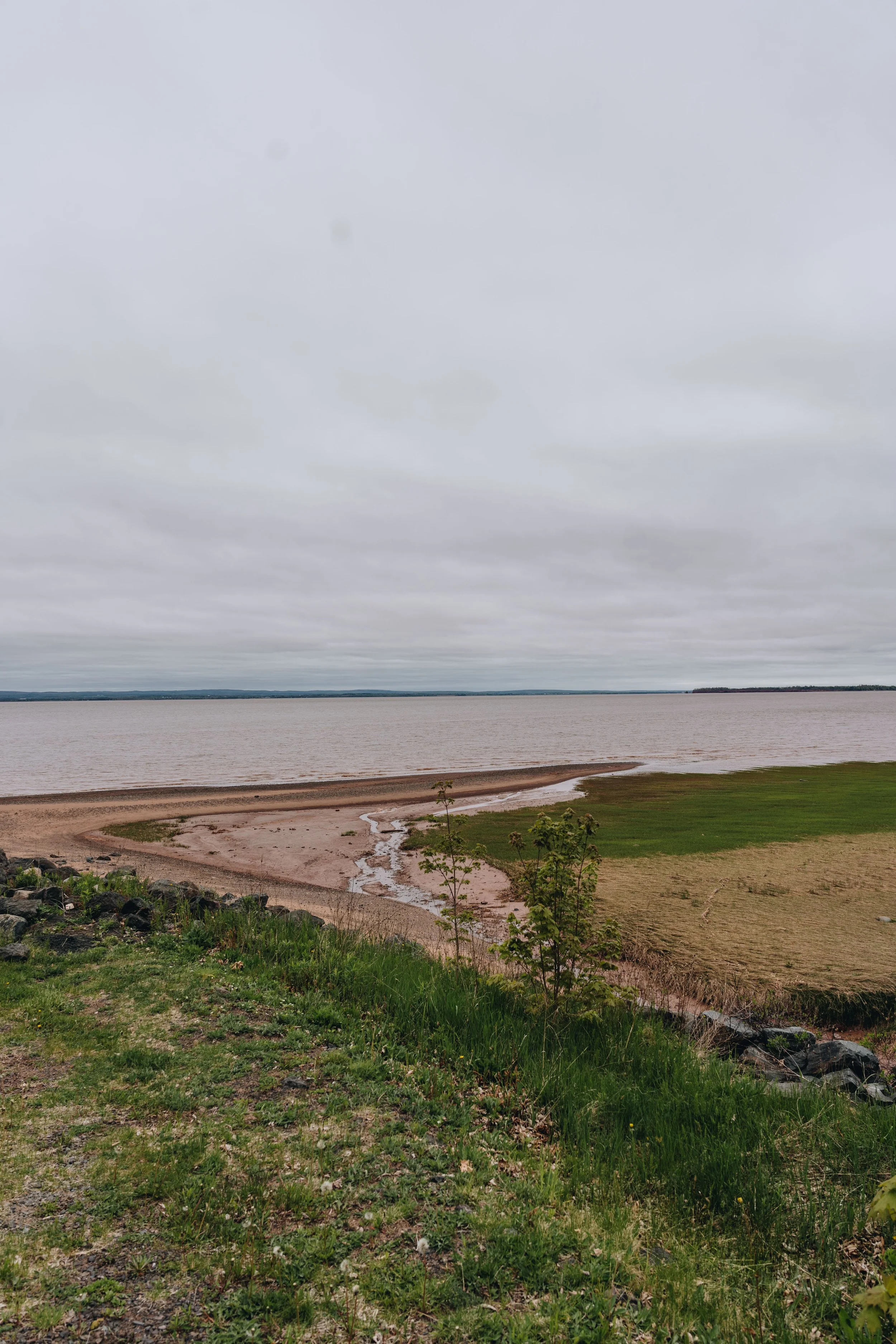 [N-É, Maitland] Parc provincial Anthony — On va se promener