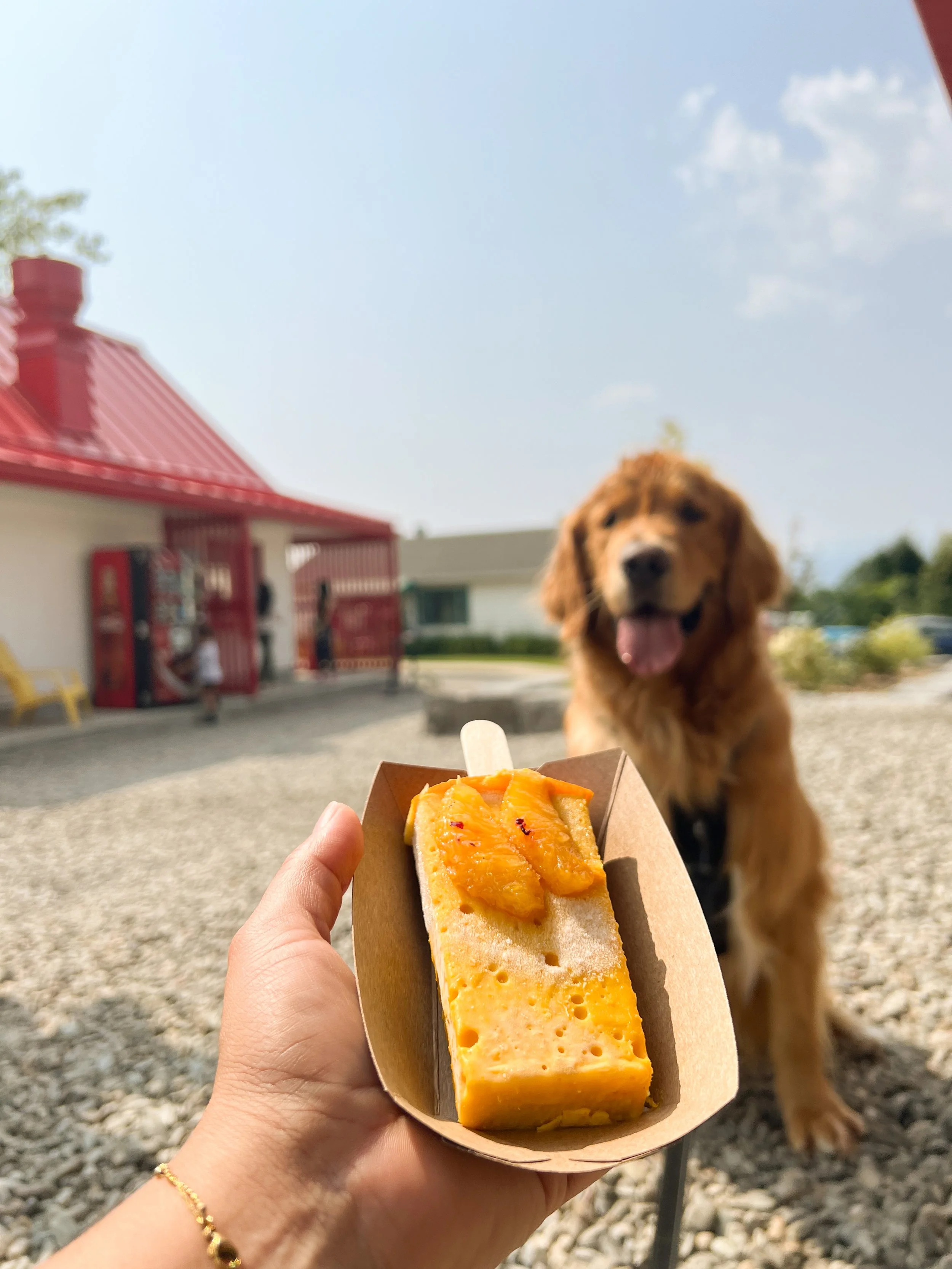 [Qc, Ile d'Orléans] Chez Mag, La Fine Cantine — On va se promener