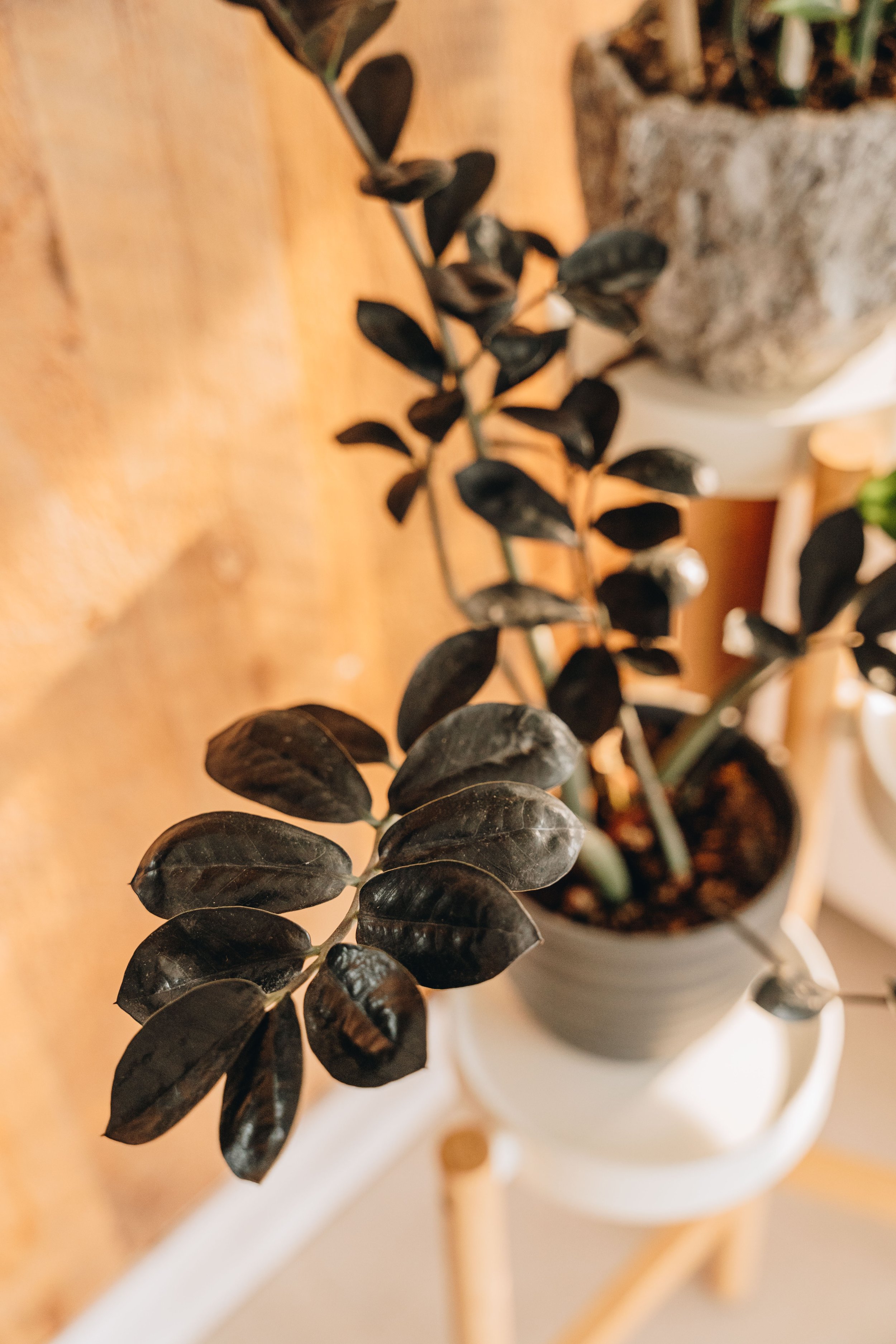 [Gaspésie, Matane] L'imprenable - Vue sur mer & spa — On va se promener