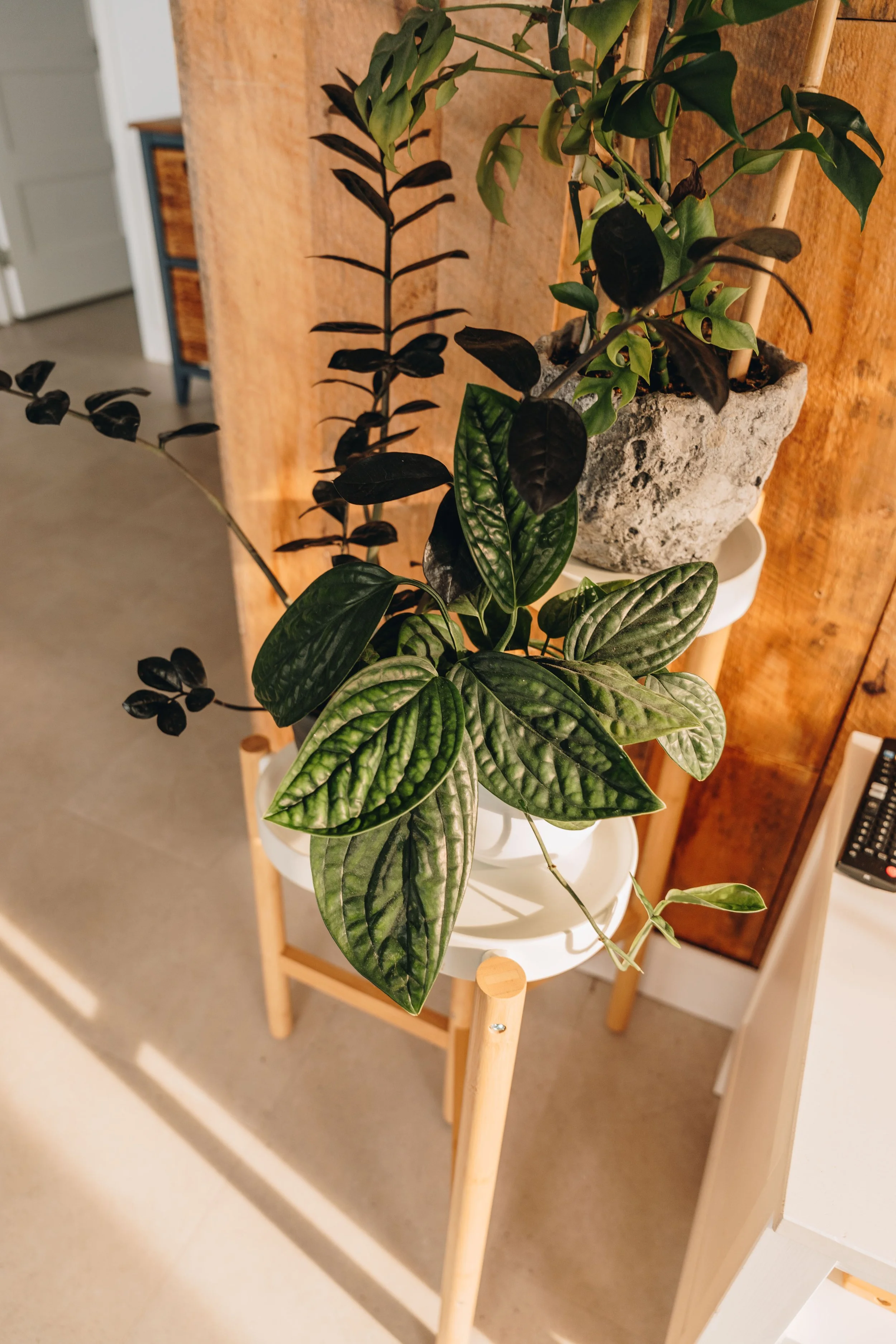 [Gaspésie, Matane] L'imprenable - Vue sur mer & spa — On va se promener