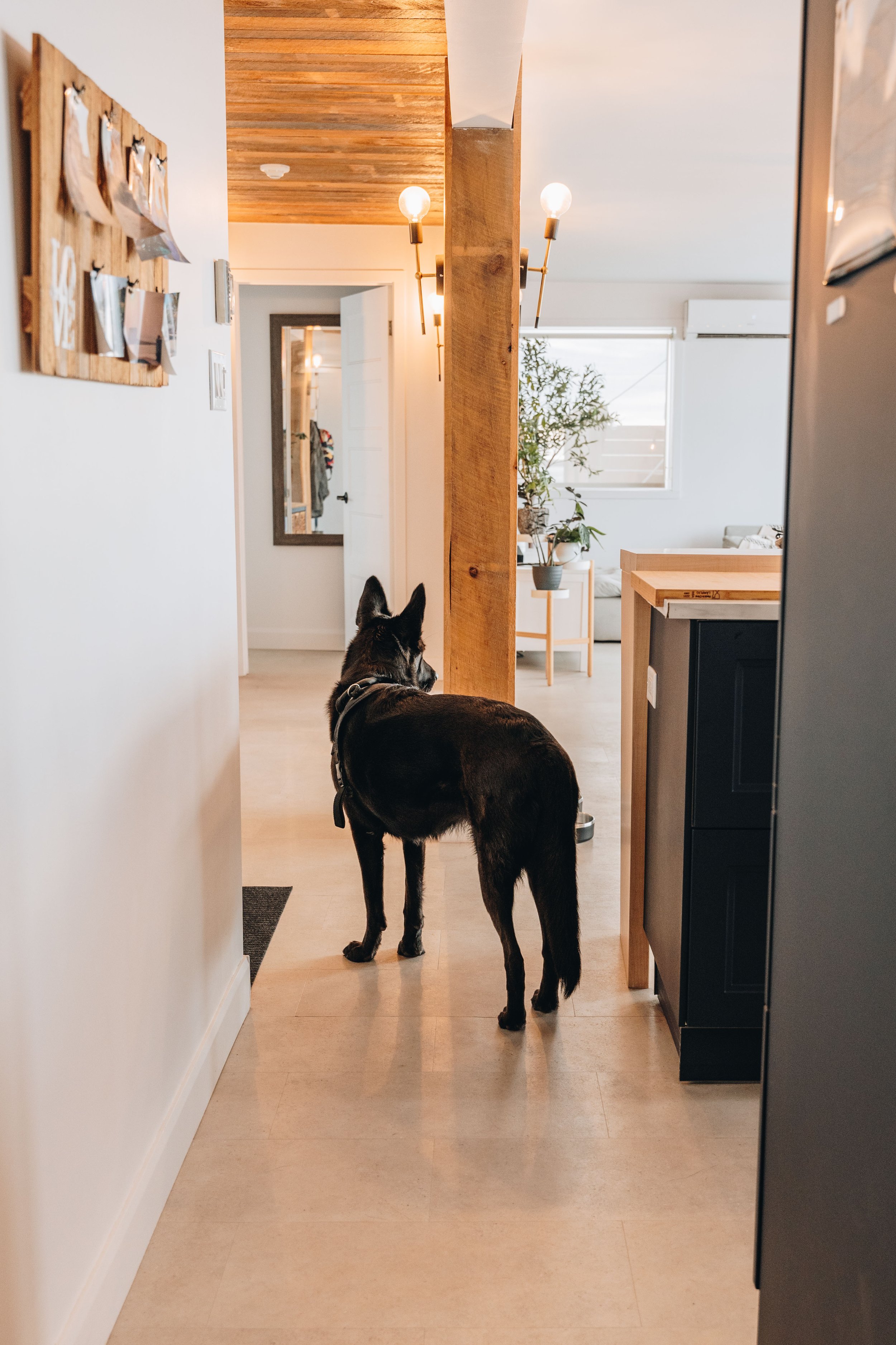 [Gaspésie, Matane] L'imprenable - Vue sur mer & spa — On va se promener