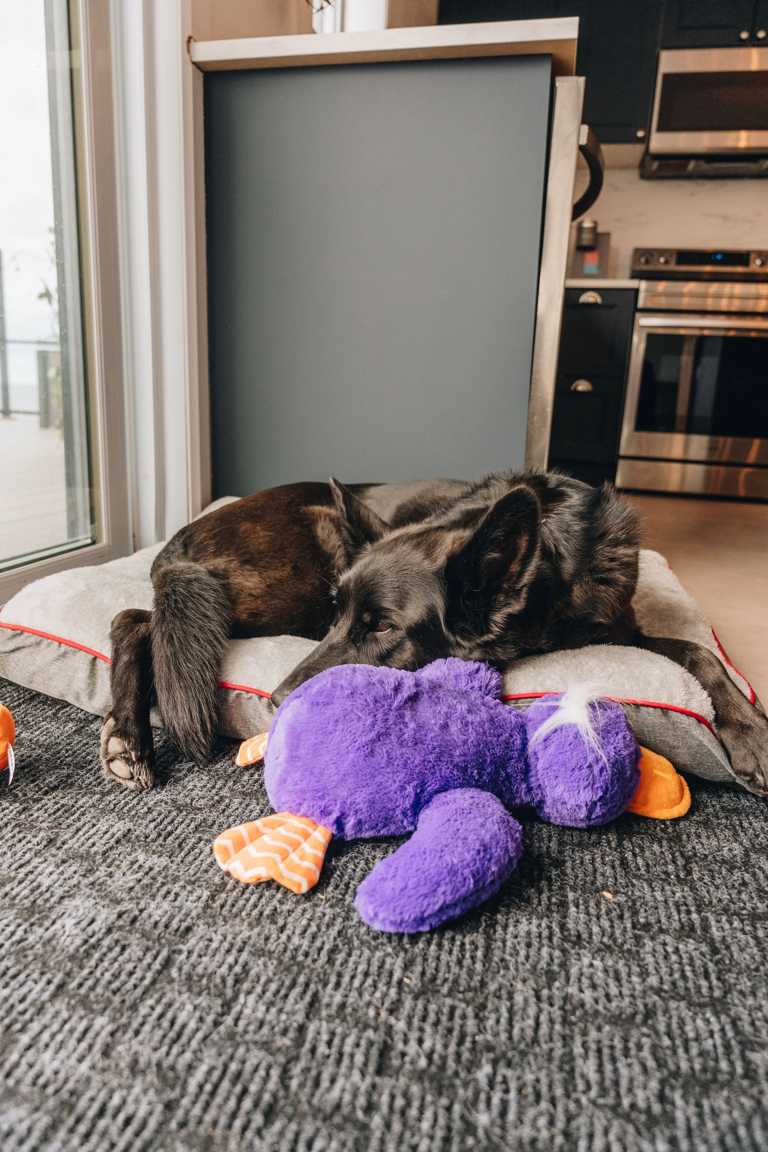 [Gaspésie, Matane] L'imprenable - Vue sur mer & spa — On va se promener
