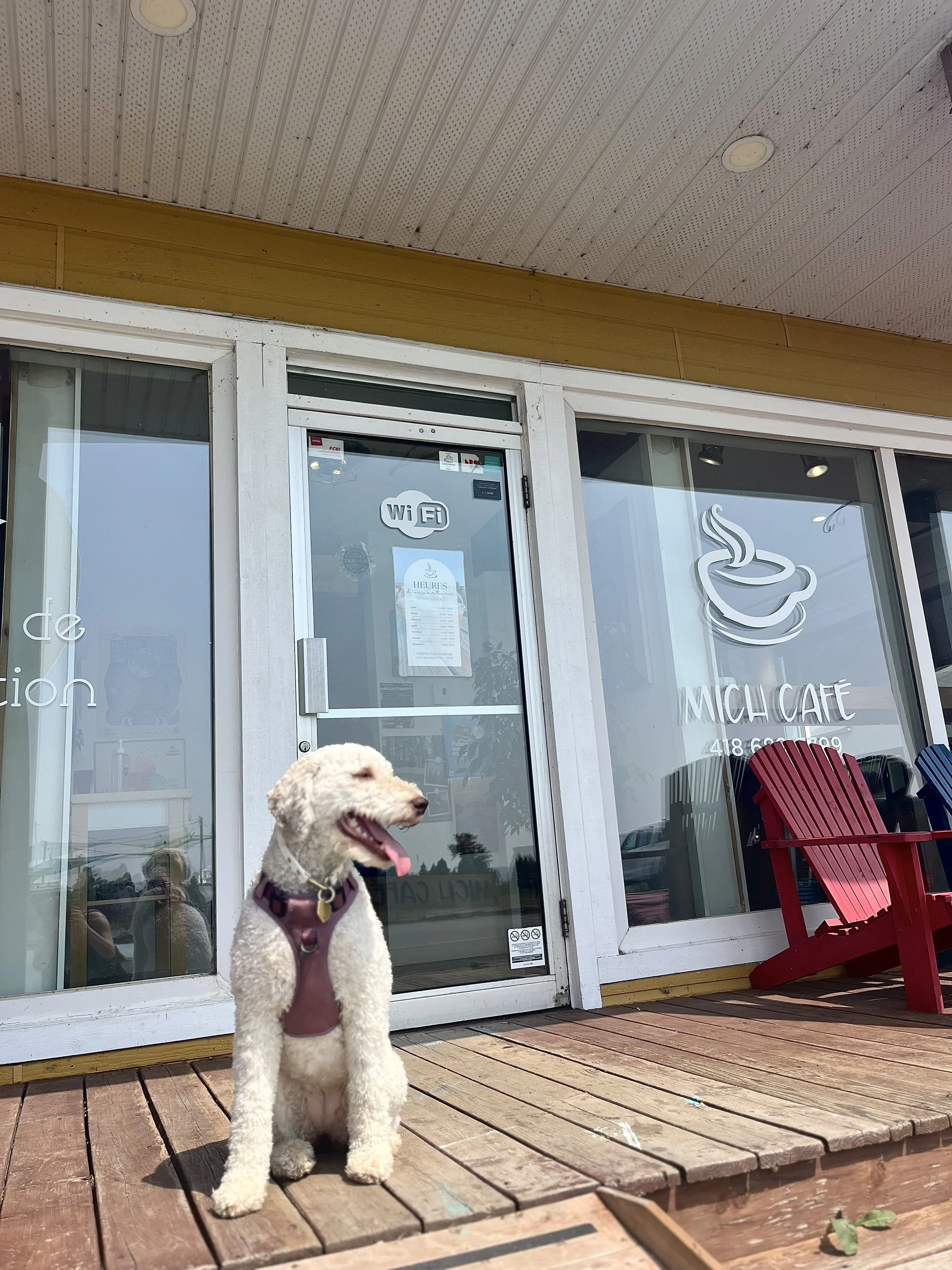[Gaspésie, Chandler] Mich Café — On va se promener