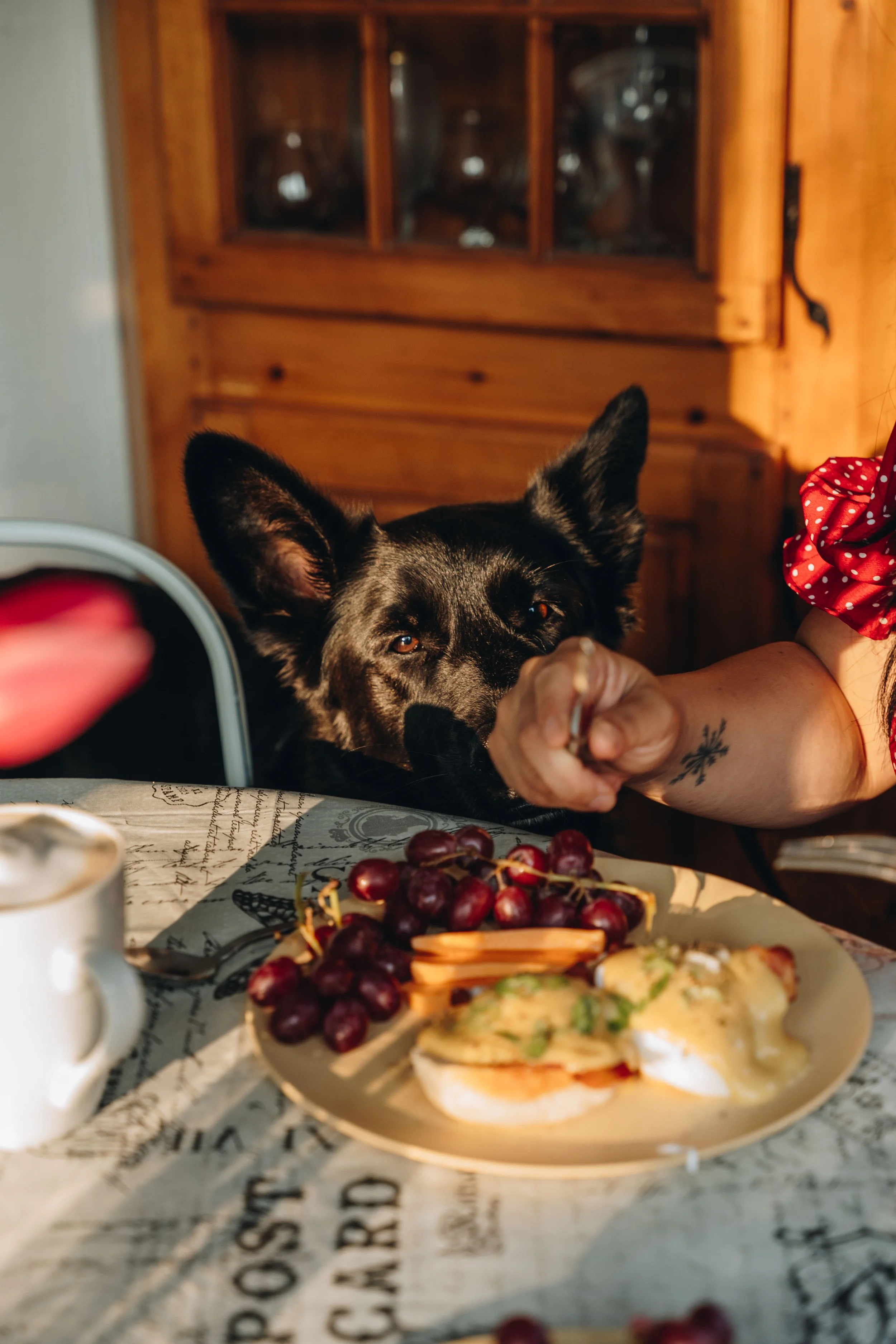 [Chaud.-App, Saint-Nazaire-de-Dorchester] Villa au toit rouge — On va ...