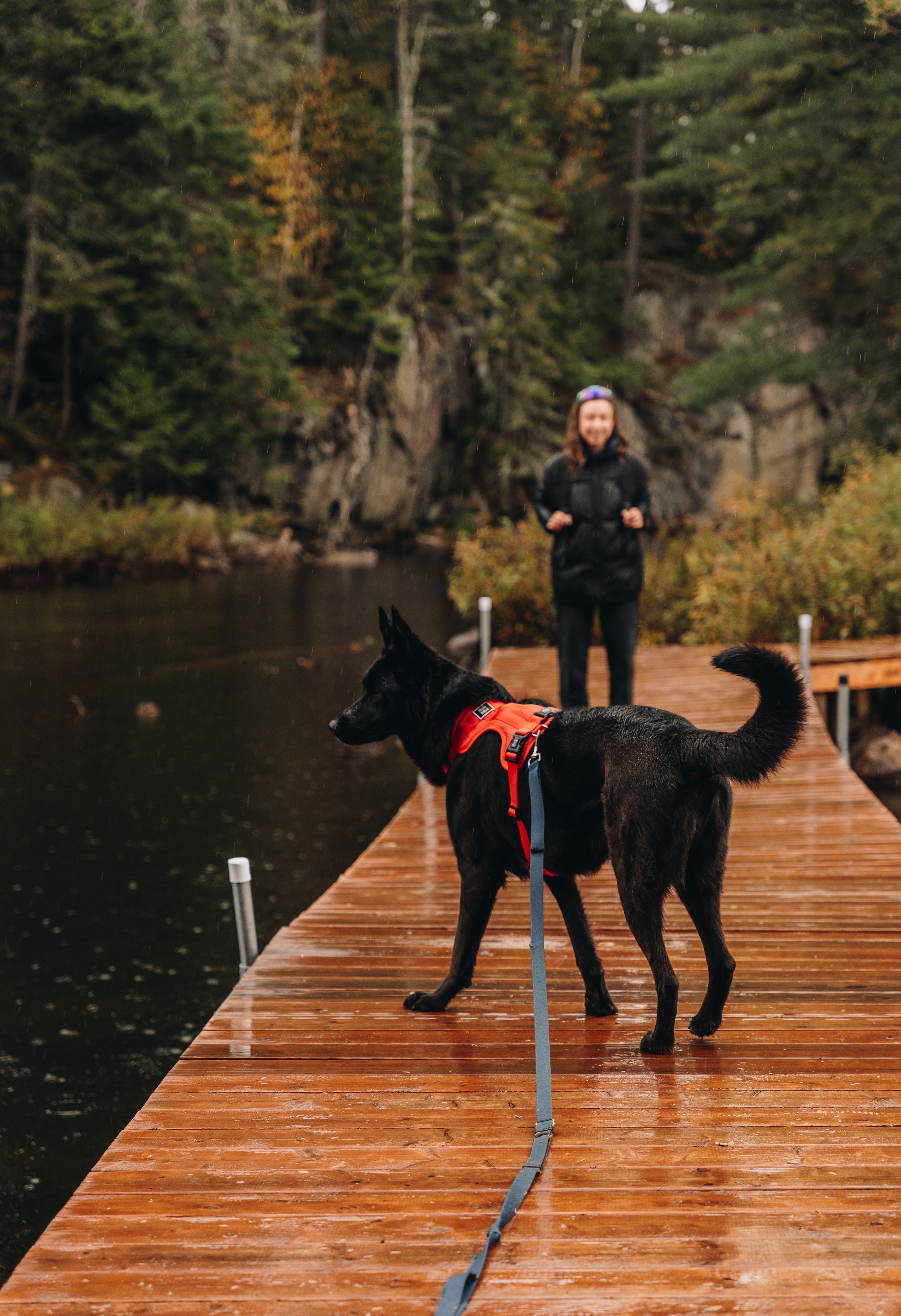 [Laurentides, Saint-Faustin-Lac-Carré] Parc Éco-Laurentides — On va se ...