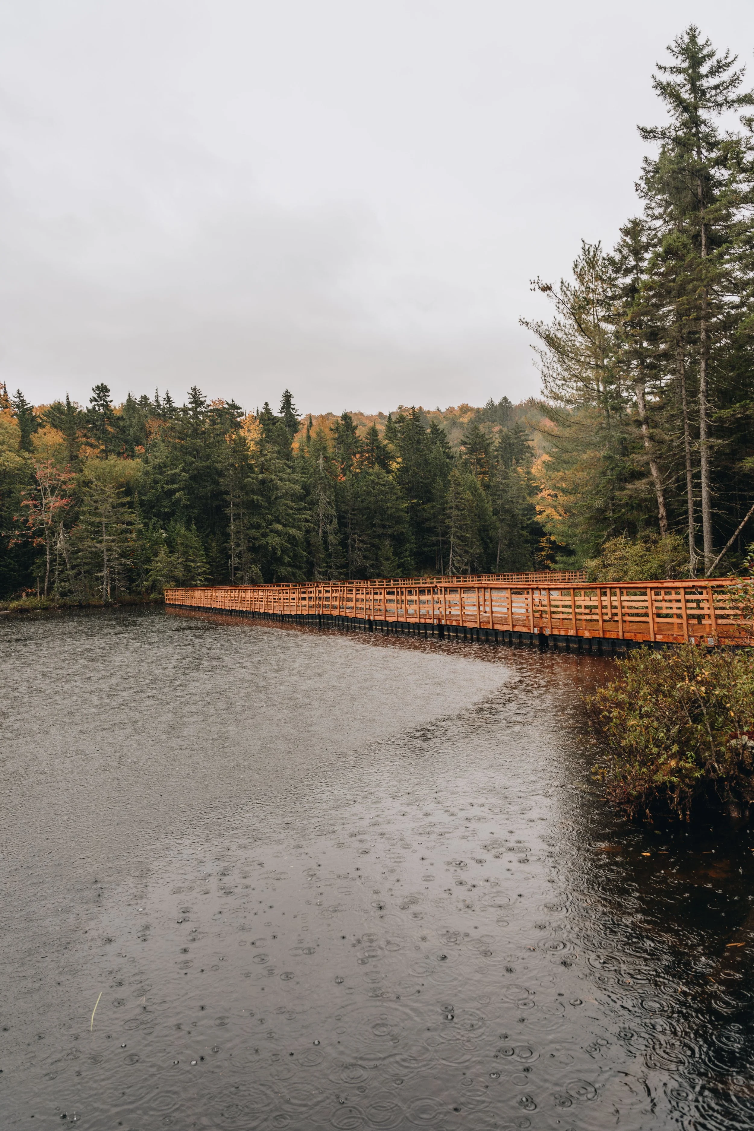 [Laurentides, Saint-Faustin-Lac-Carré] Parc Éco-Laurentides — On va se ...