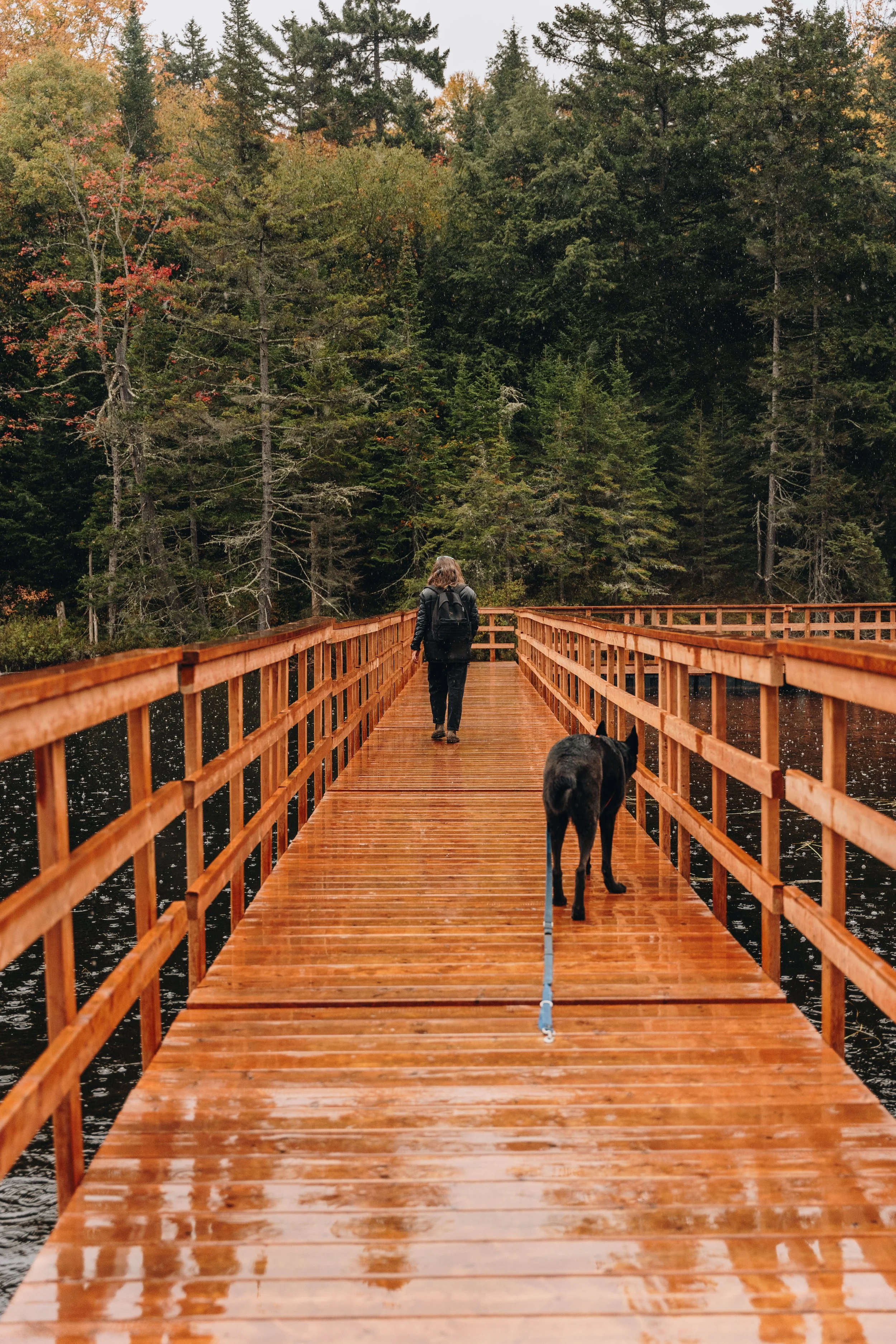 [Laurentides, Saint-Faustin-Lac-Carré] Parc Éco-Laurentides — On va se ...