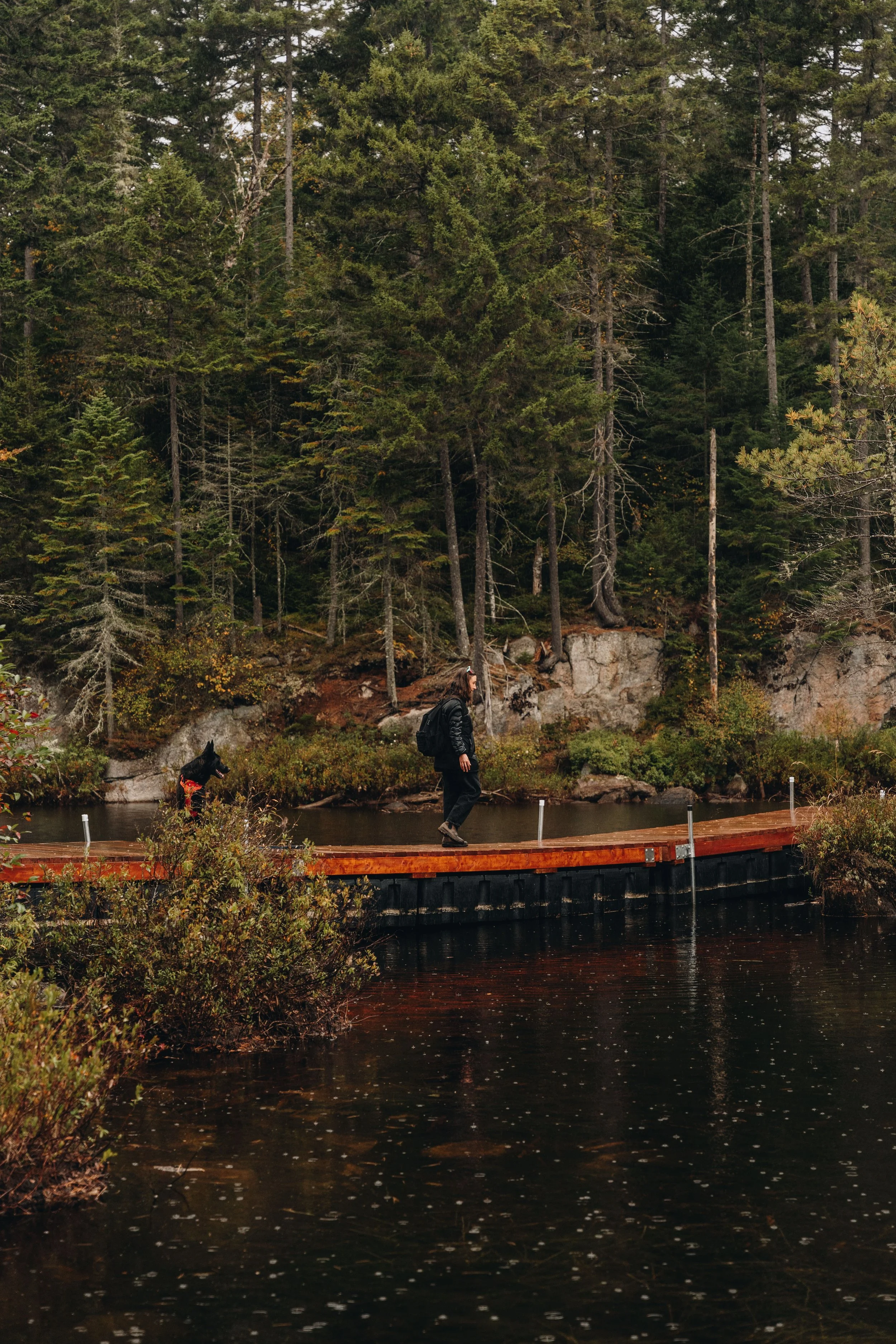 [Laurentides, Saint-Faustin-Lac-Carré] Parc Éco-Laurentides — On va se ...