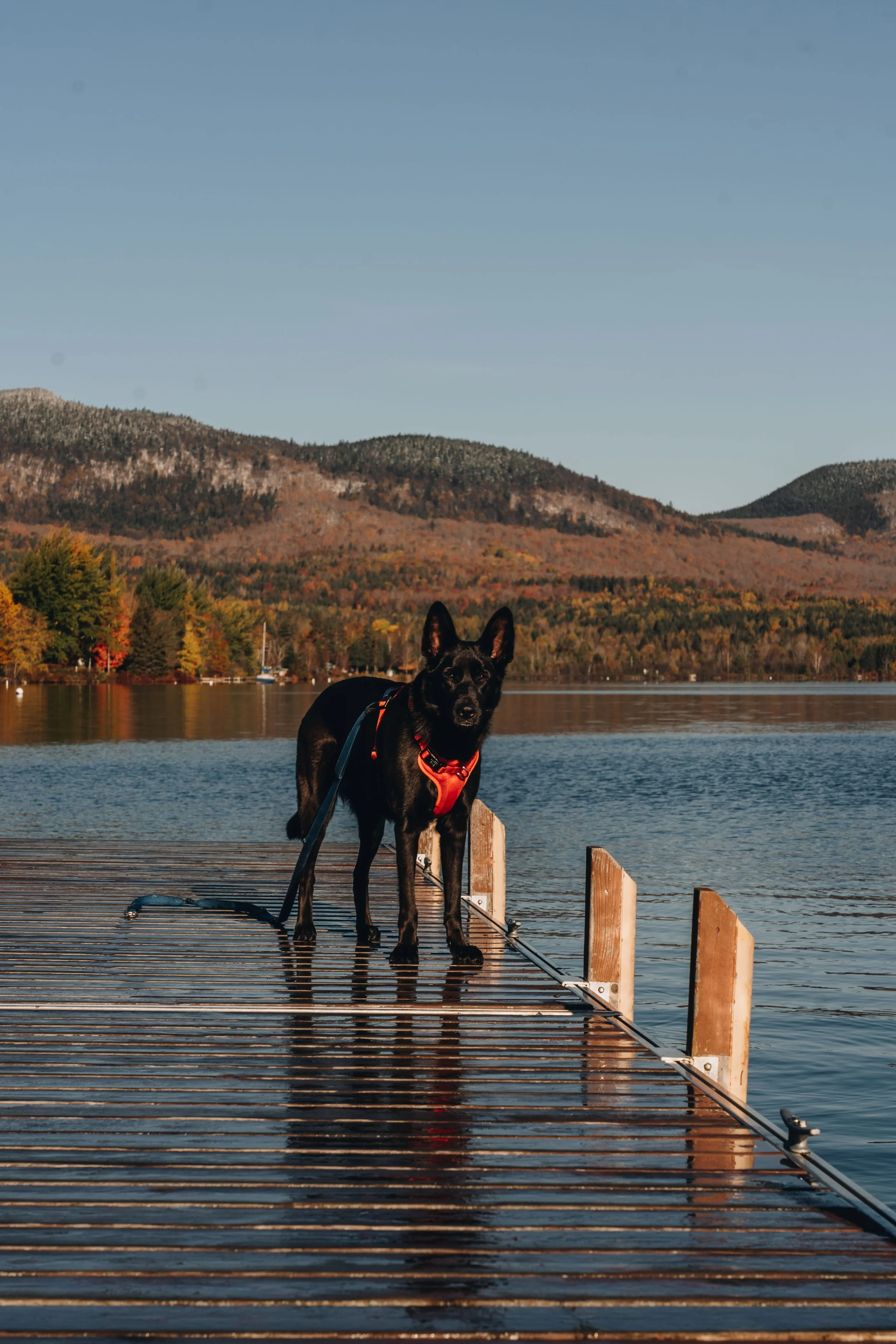 [Estrie, Lac-Drolet] Parc du Lac, Halte du Lac-Drolet — On va se promener