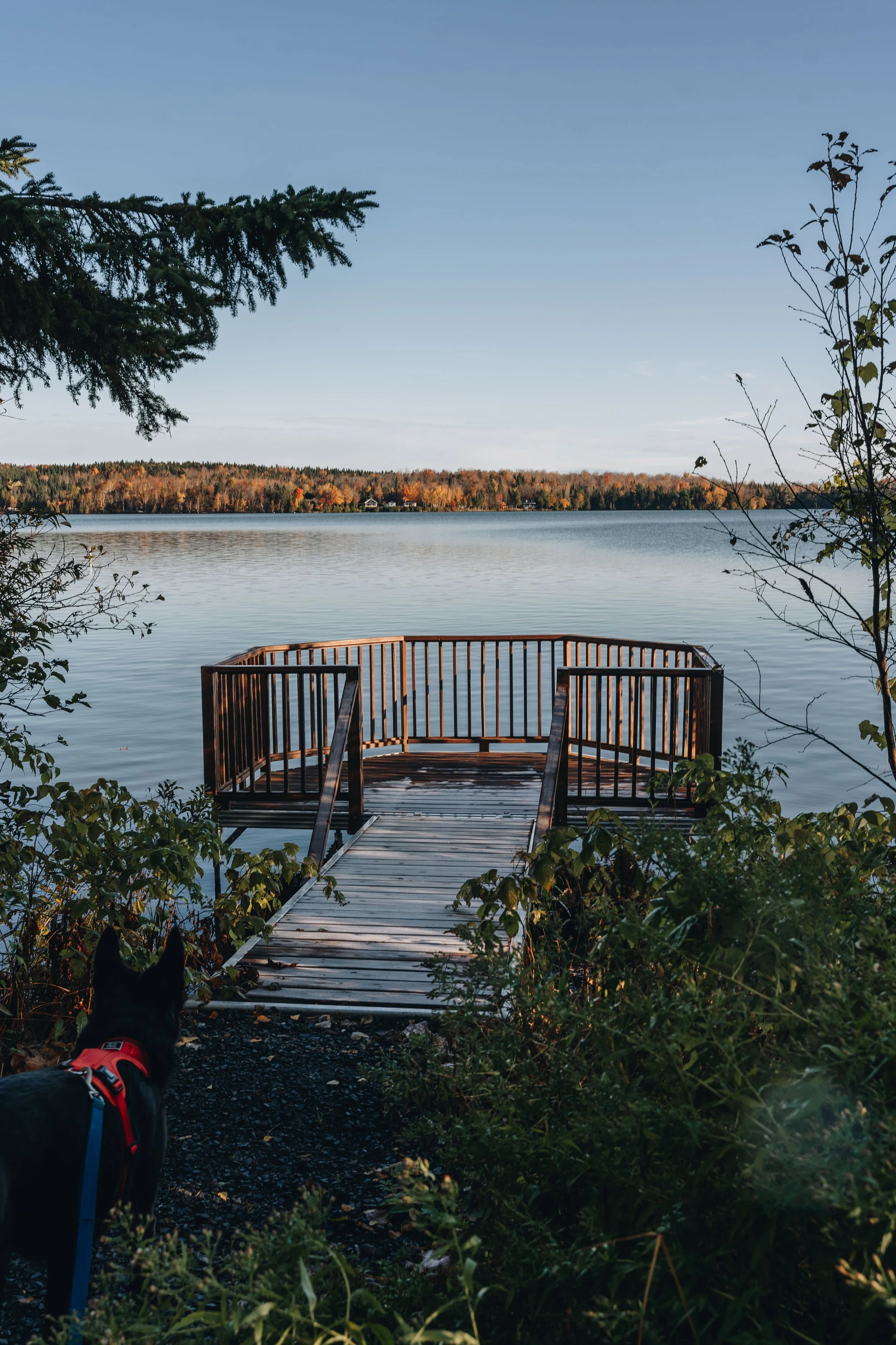 [Estrie, Lac-Drolet] Parc du Lac, Halte du Lac-Drolet — On va se promener?