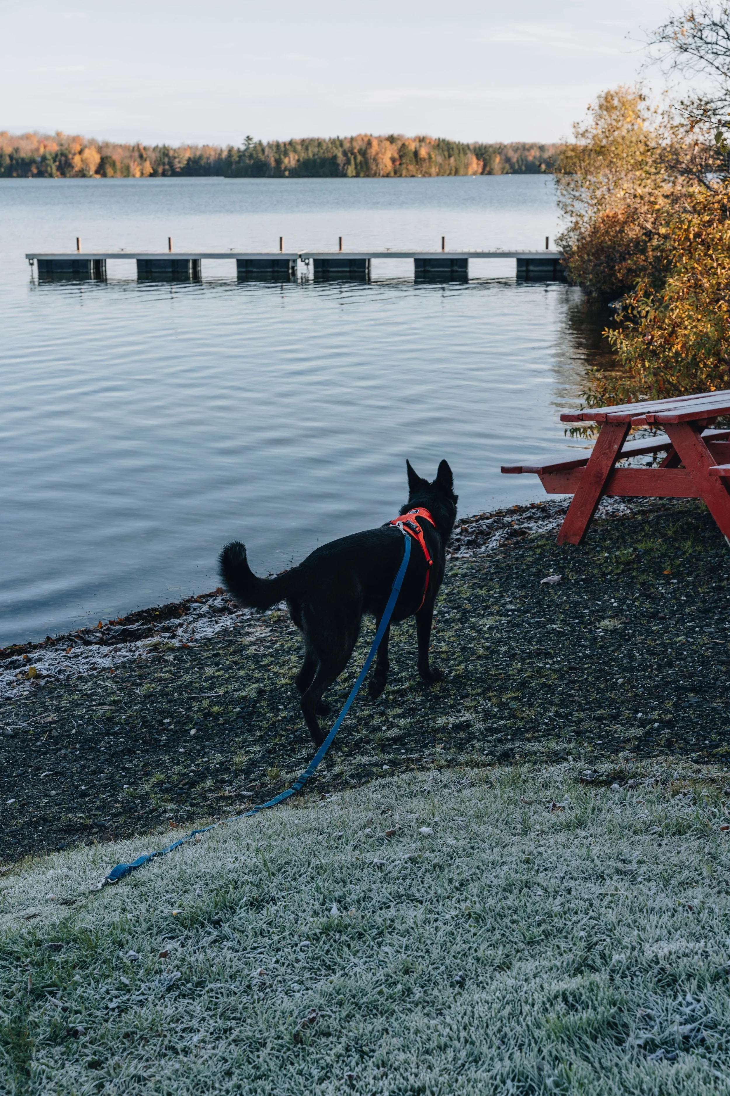 [Estrie, Lac-Drolet] Parc du Lac, Halte du Lac-Drolet — On va se promener