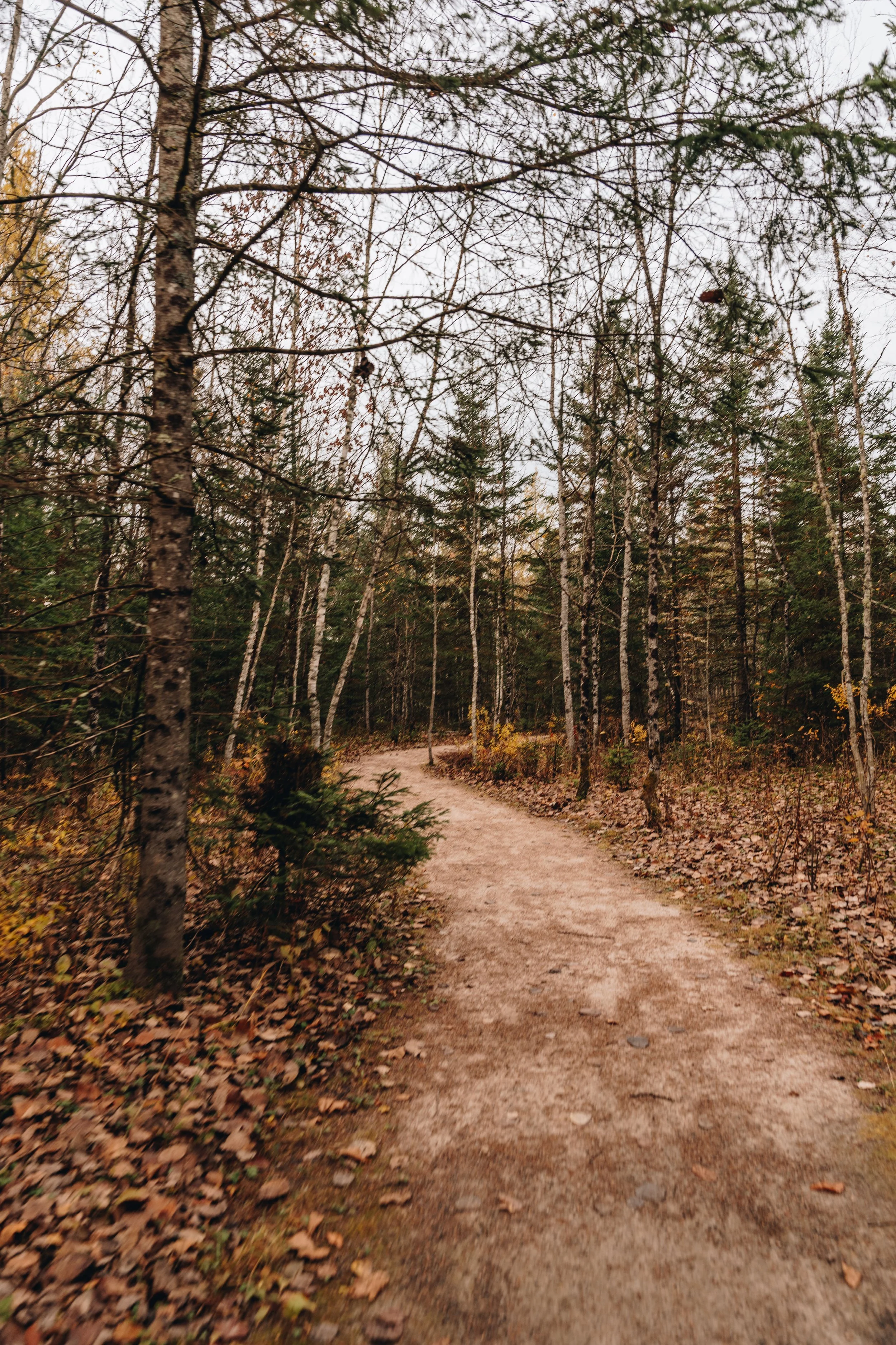[Québec, Saint-Raymond] Parc riverain de la Sainte-Anne — On va se ...