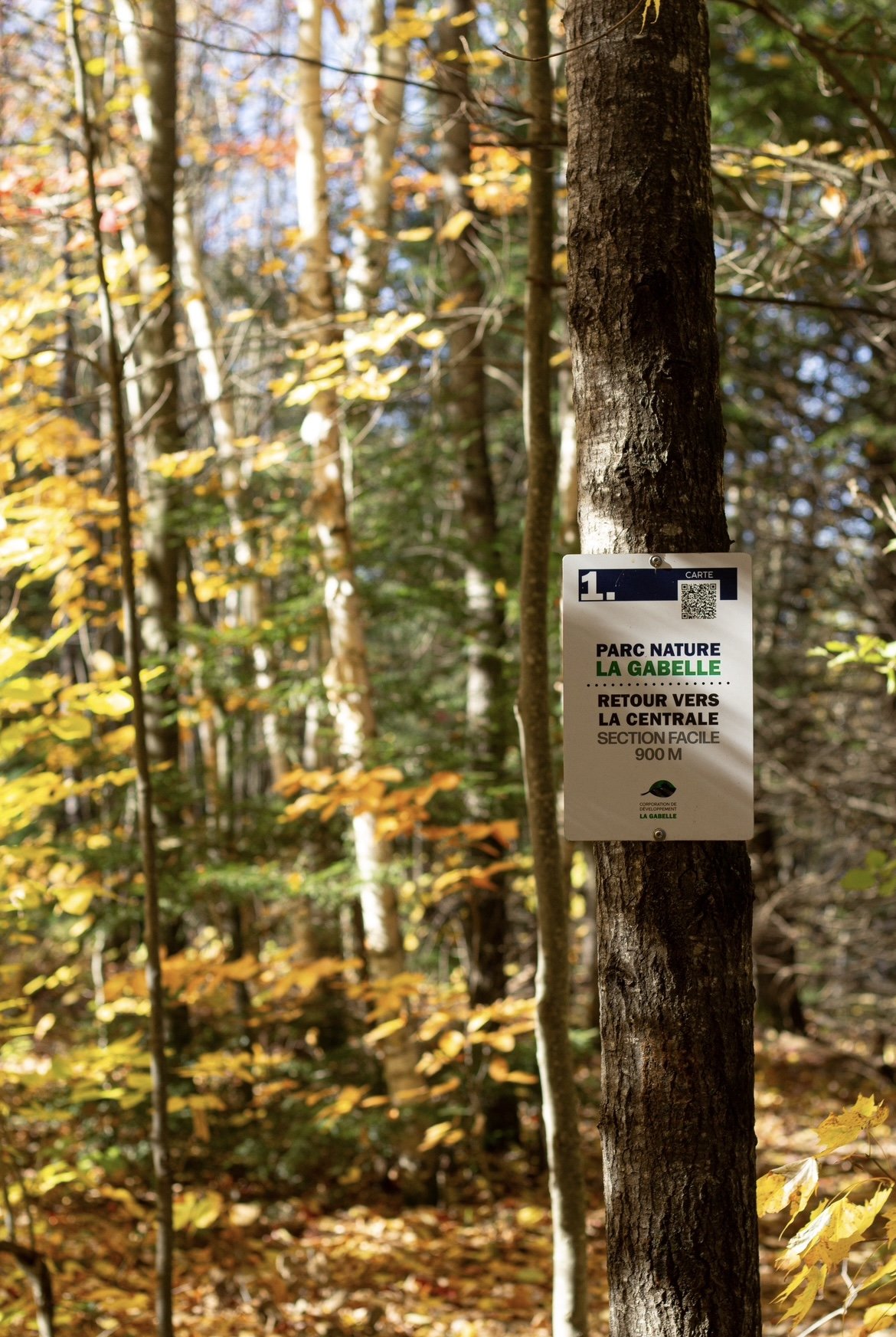 [Mauricie, Notre-Dame-du-Mont-Carmel] Parc nature La Gabelle — On va se ...