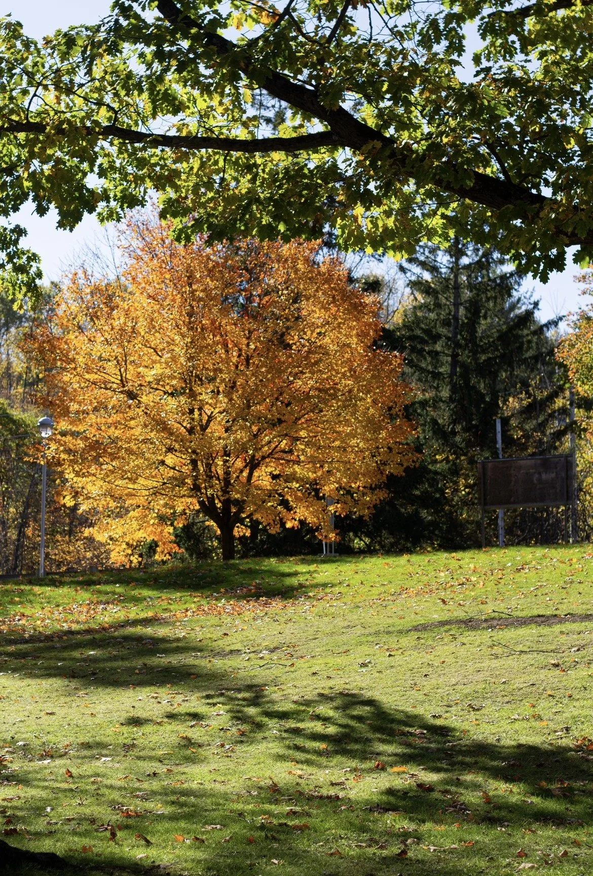 [Mauricie, Notre-Dame-du-Mont-Carmel] Parc nature La Gabelle — On va se ...