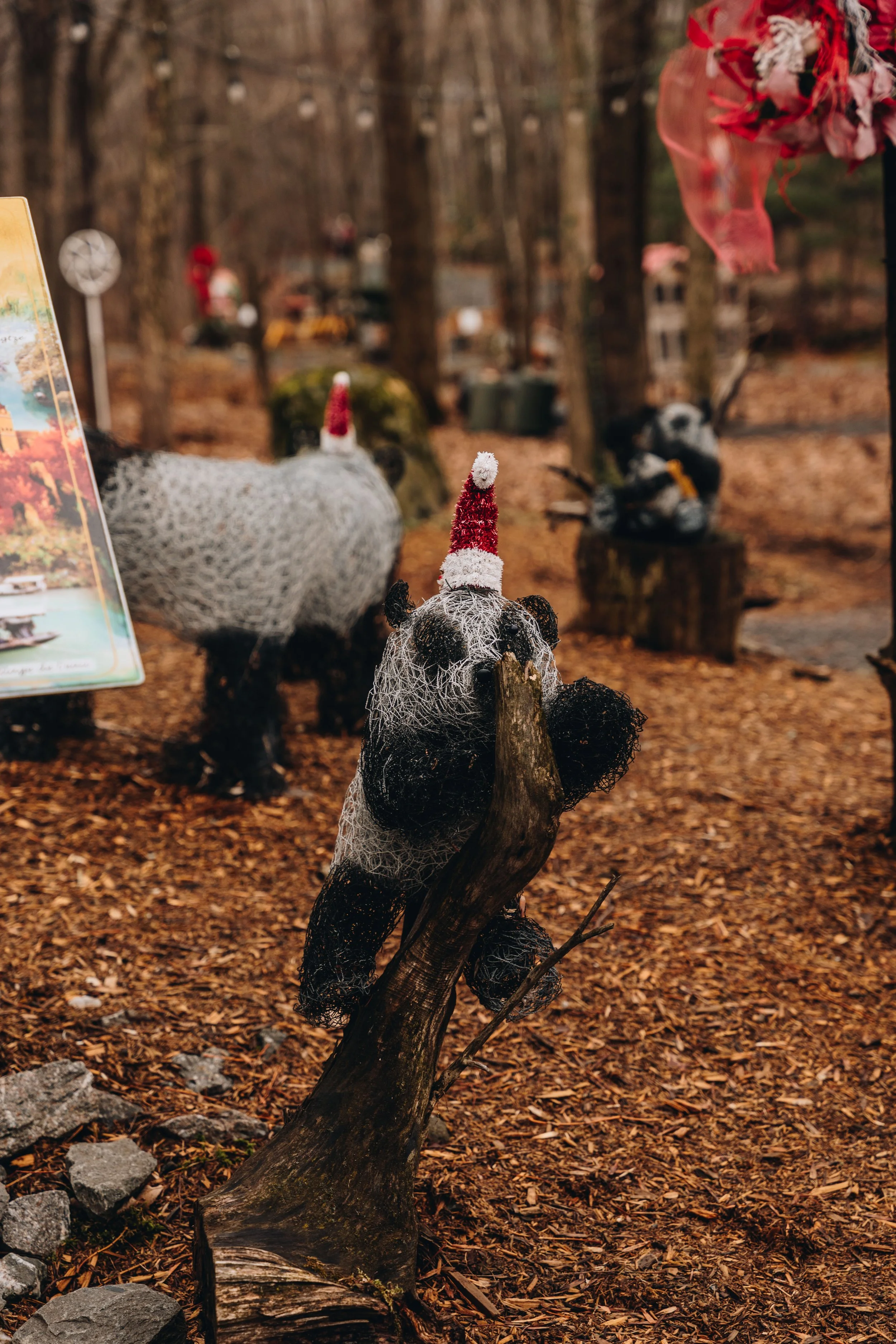 [C-d-Q, Tingwick] Jardins et Sentier Les Pieds d'Or — On va se promener