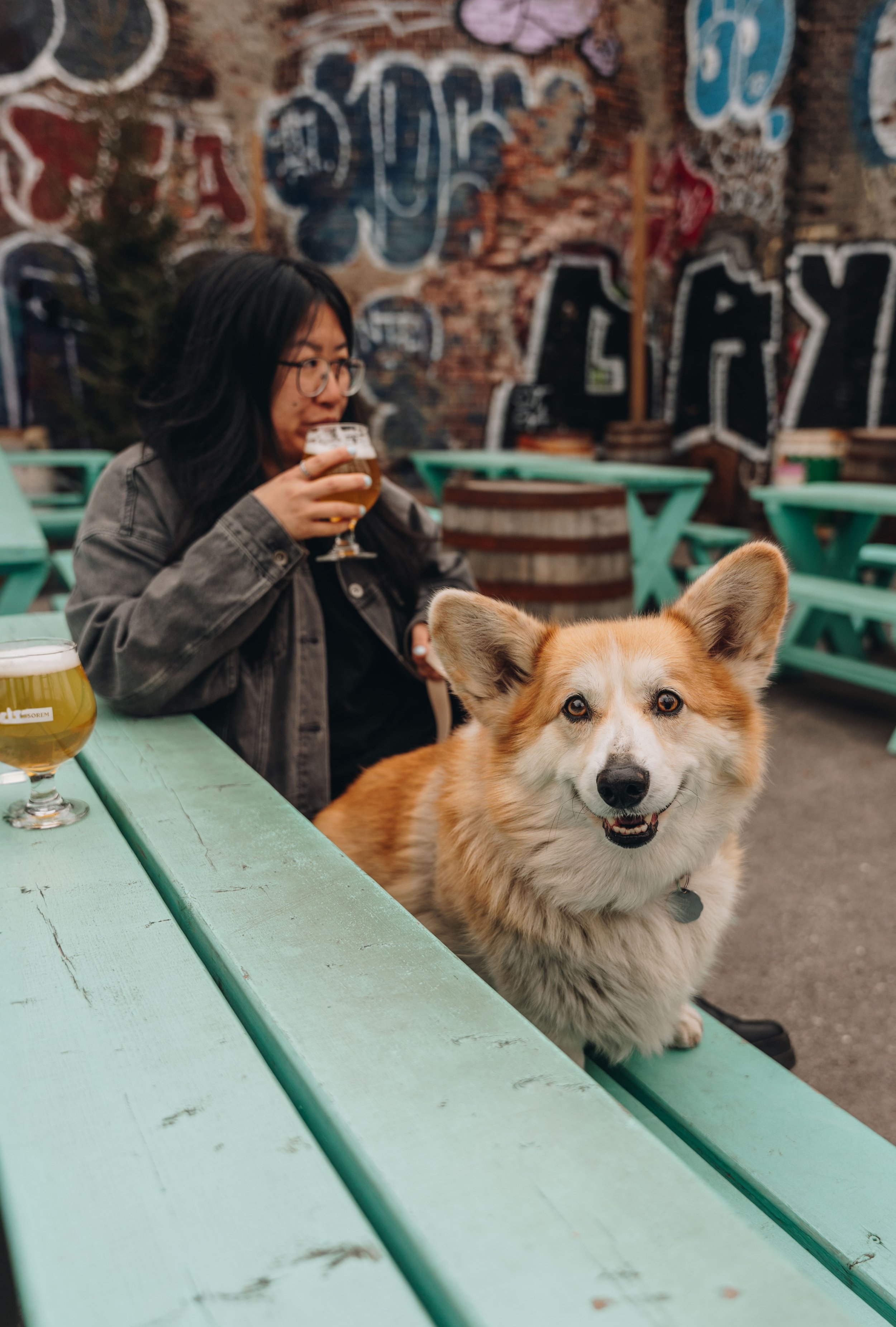 [MTL, Ville-Émard] Messorem — On va se promener