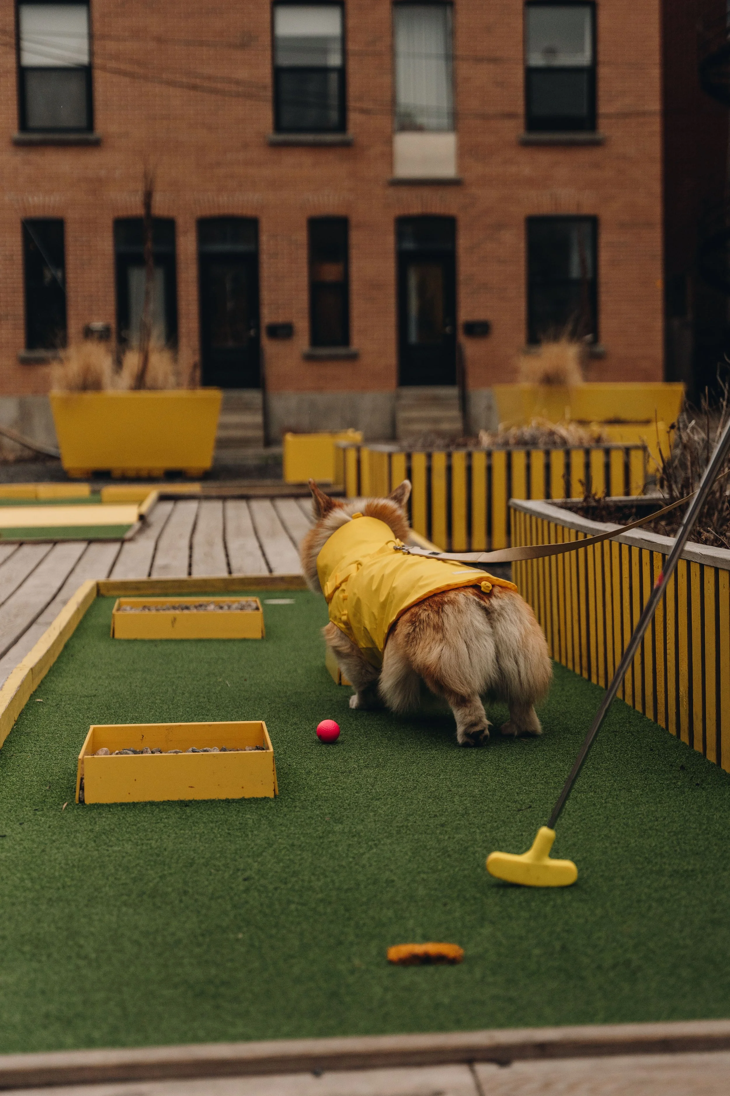 [Montréal, Plateau Mont-Royal] Jardins Petit Laurier — On va se promener