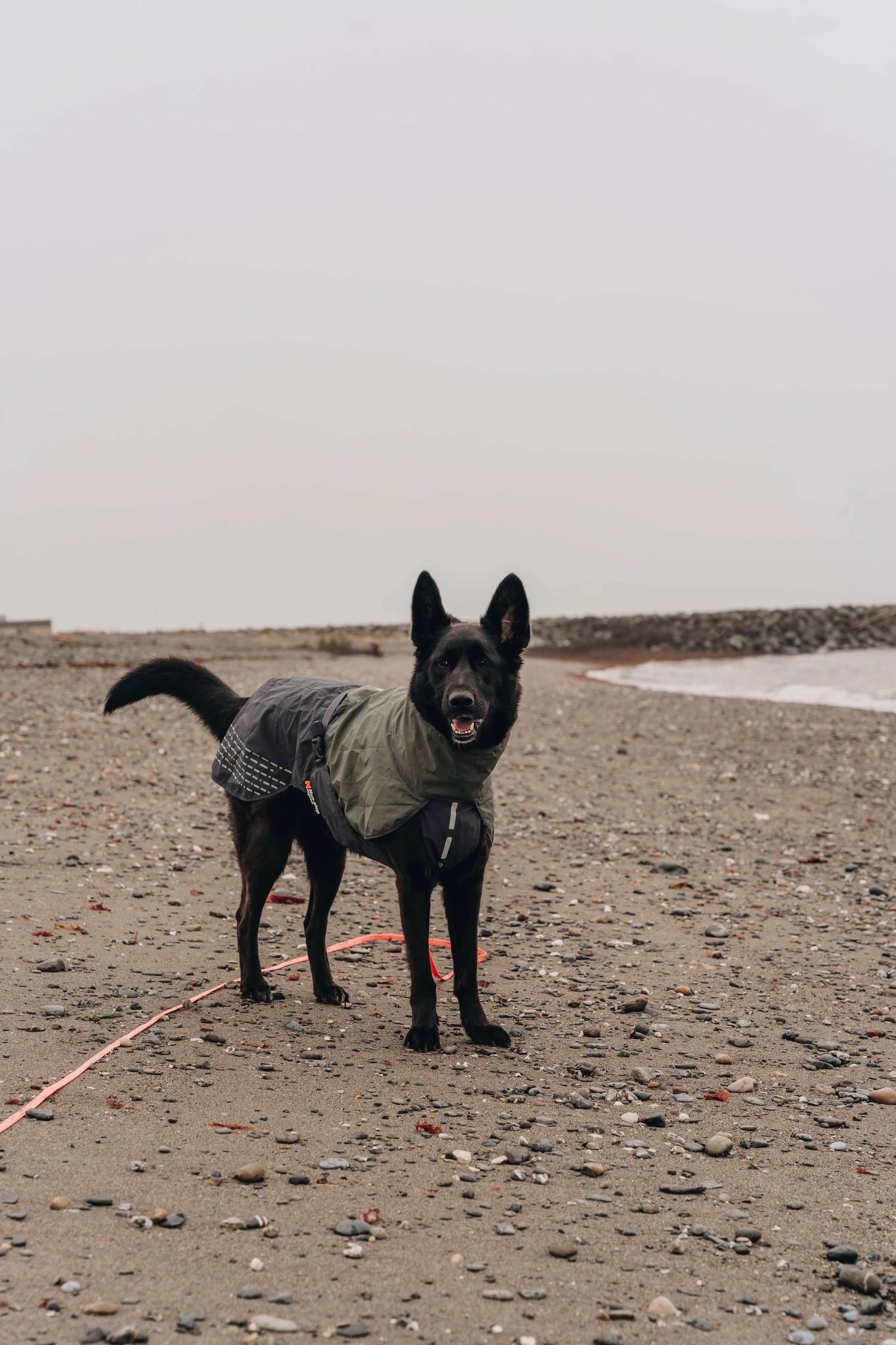 [Gaspésie, Matane] Parc Nancy-Charest — On va se promener