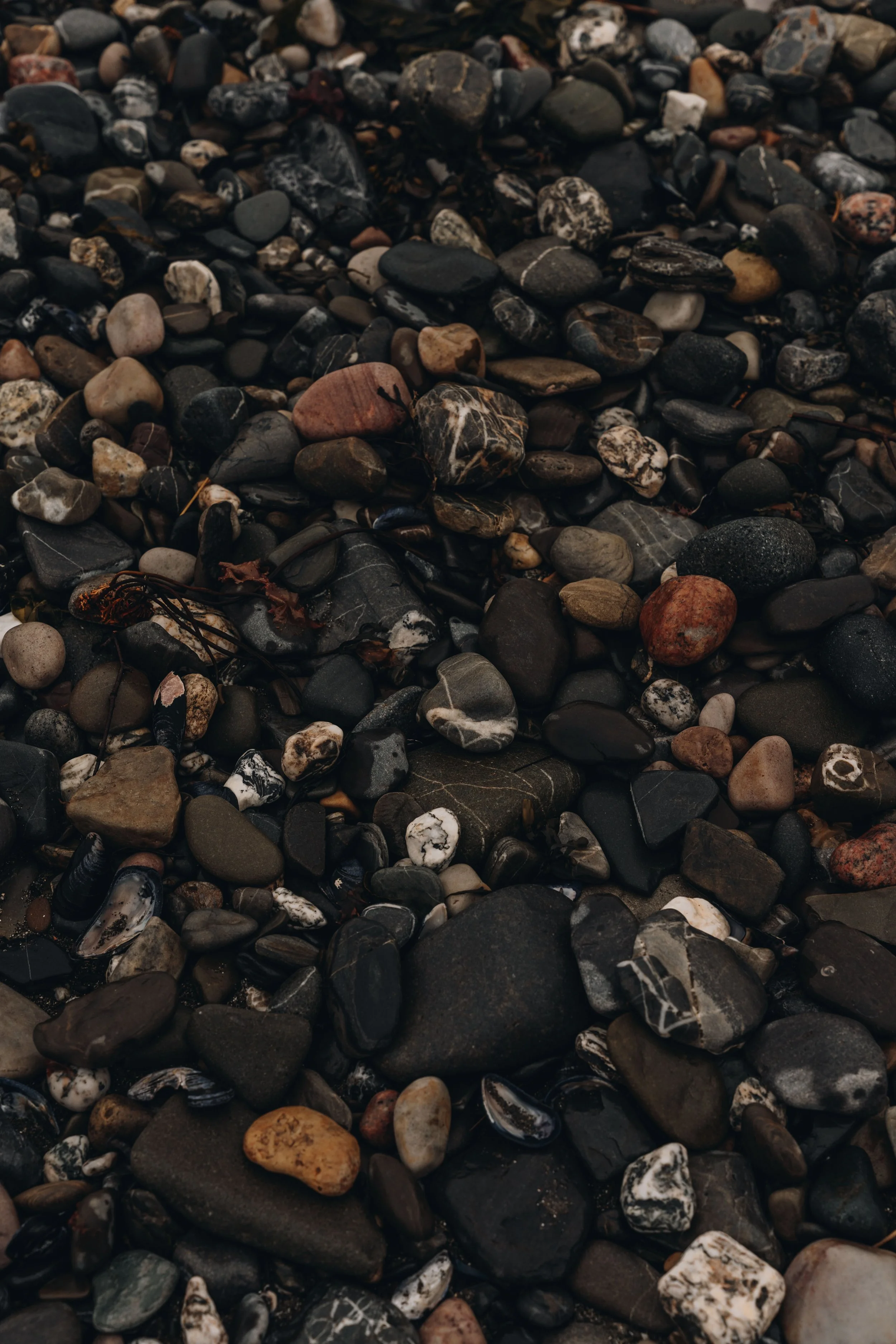 [Gaspésie, Matane] Parc Nancy-Charest — On va se promener