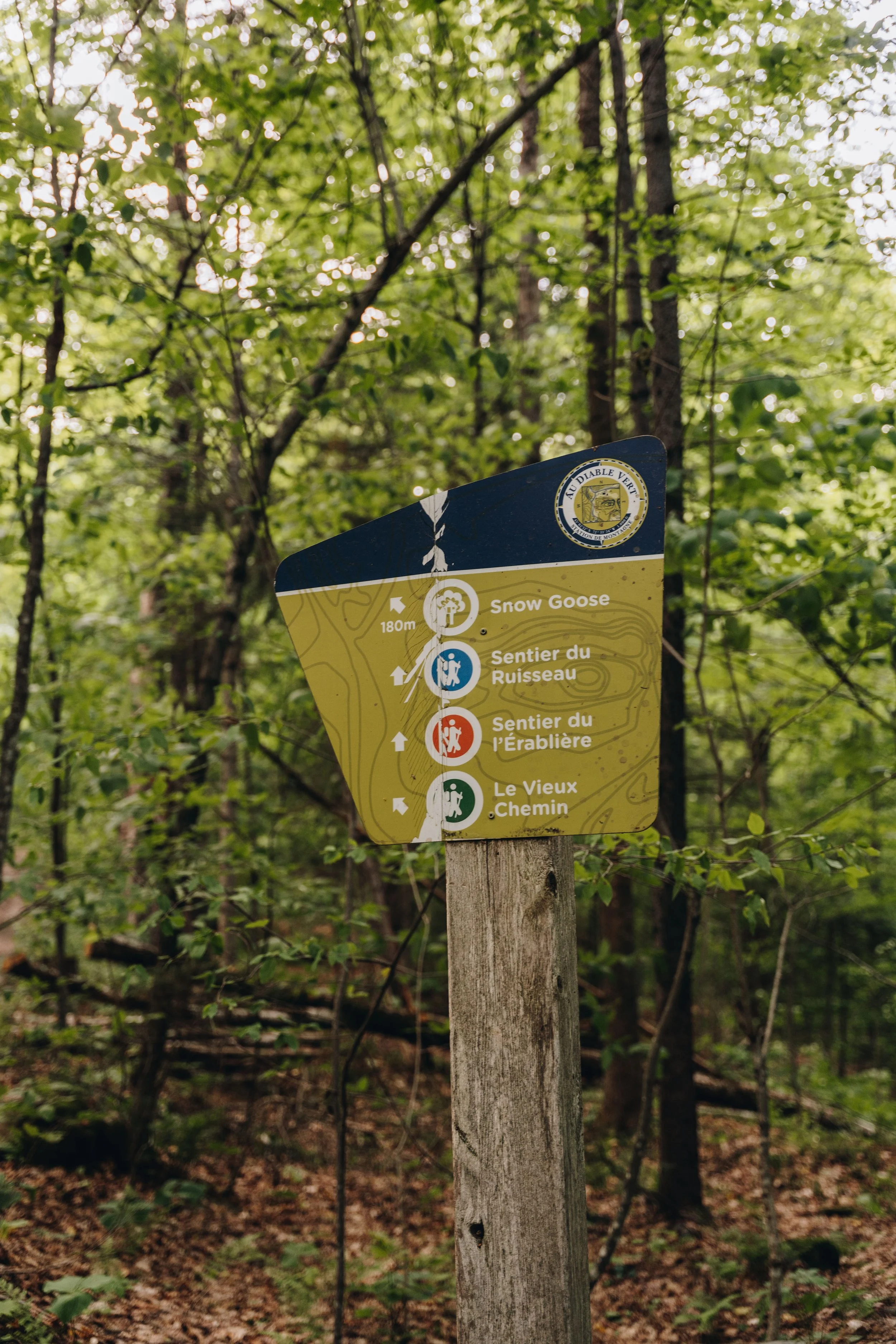 [Estrie, Sutton] Au Diable vert — On va se promener