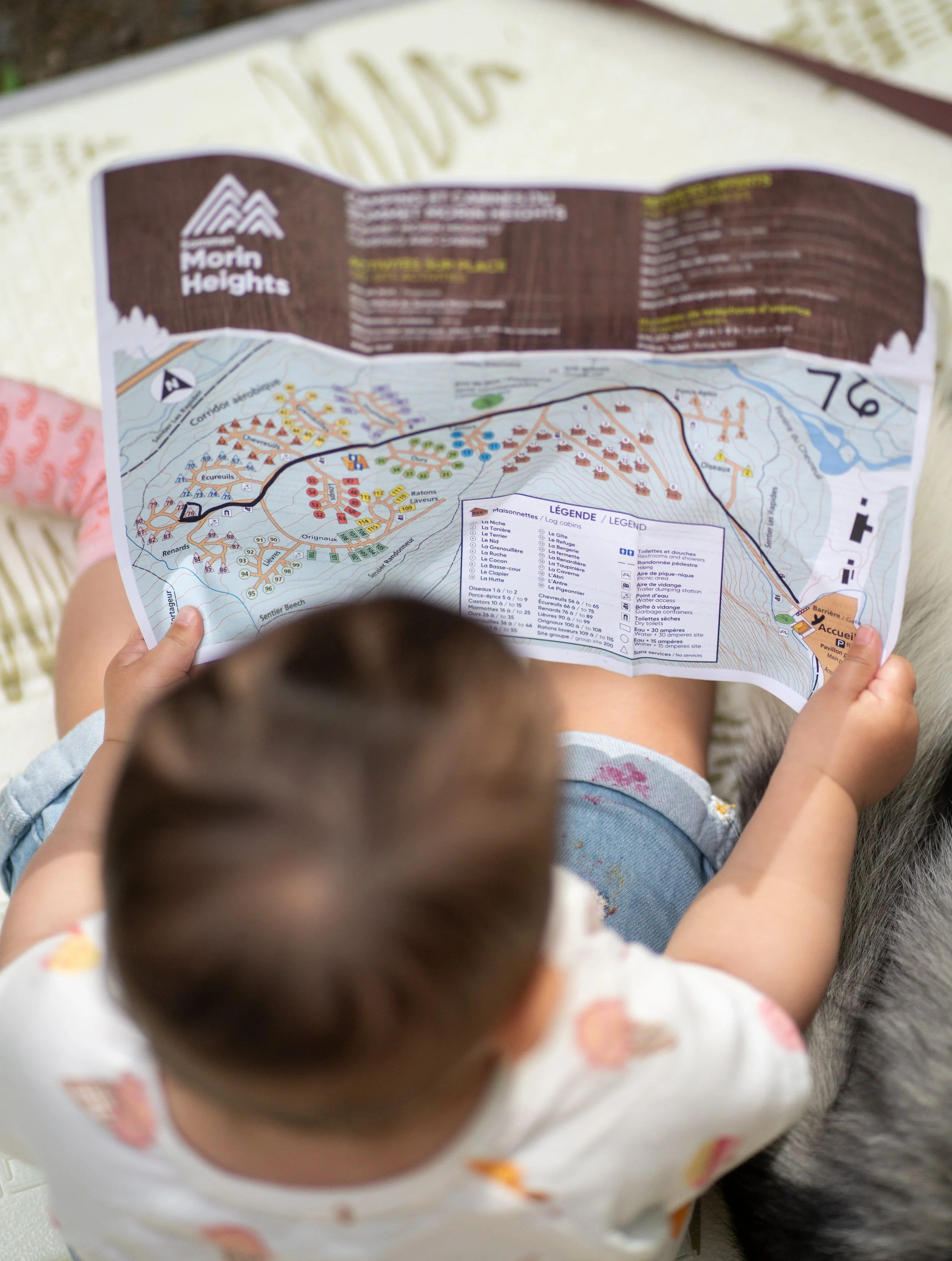 [Laurentides, Morin-Heights] Camping et cabines du Sommet Morin Heights ...