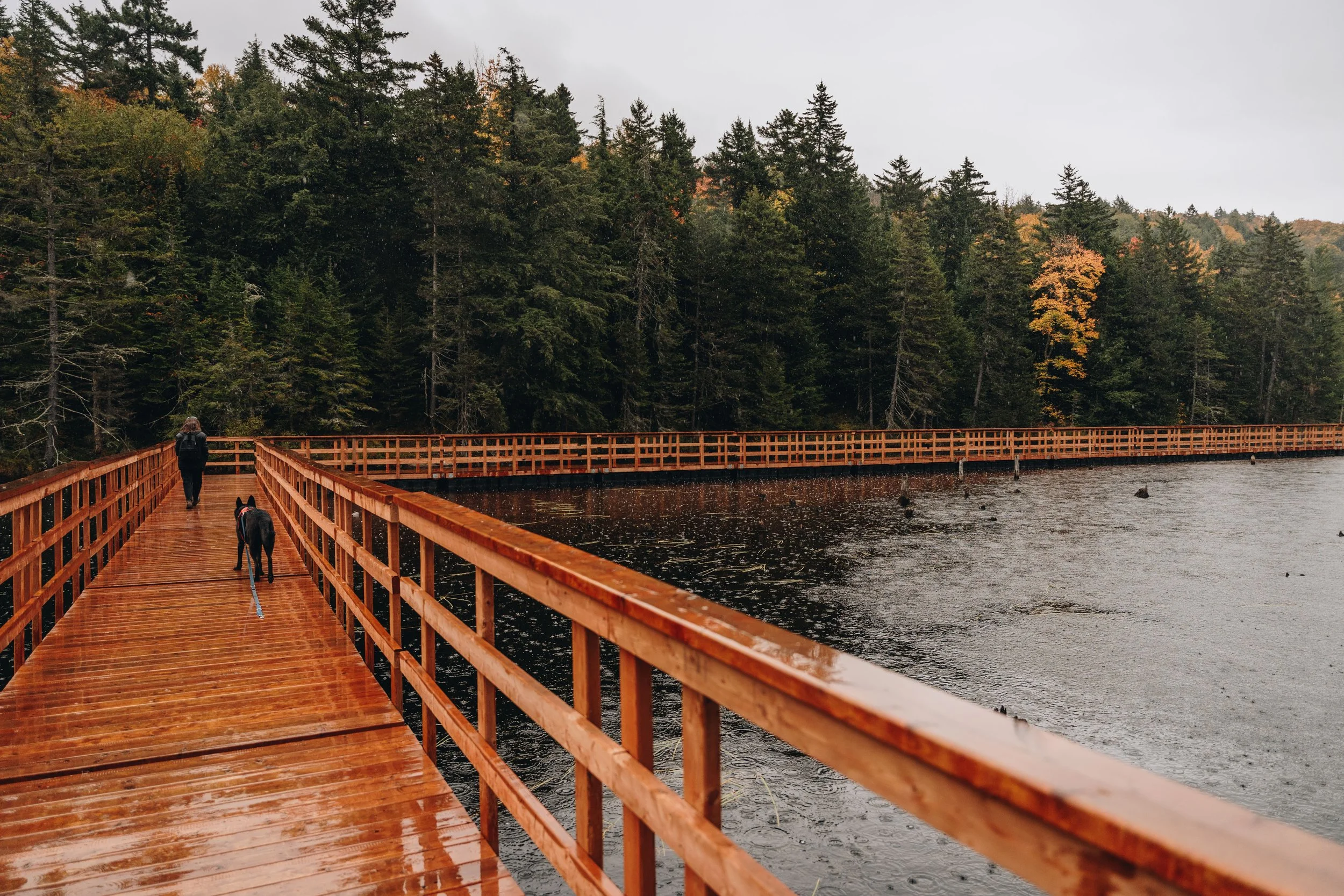 [Laurentides, Saint-Faustin-Lac-Carré] Parc Éco-Laurentides — On va se ...