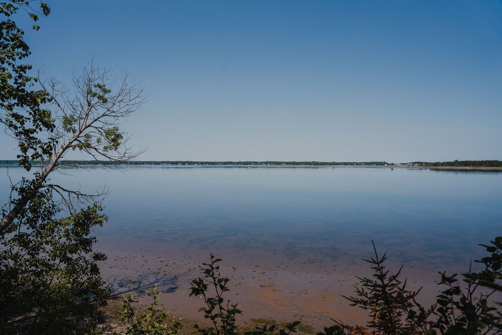 [NB, Bathurst] Daly Point Nature Reserve — On va se promener