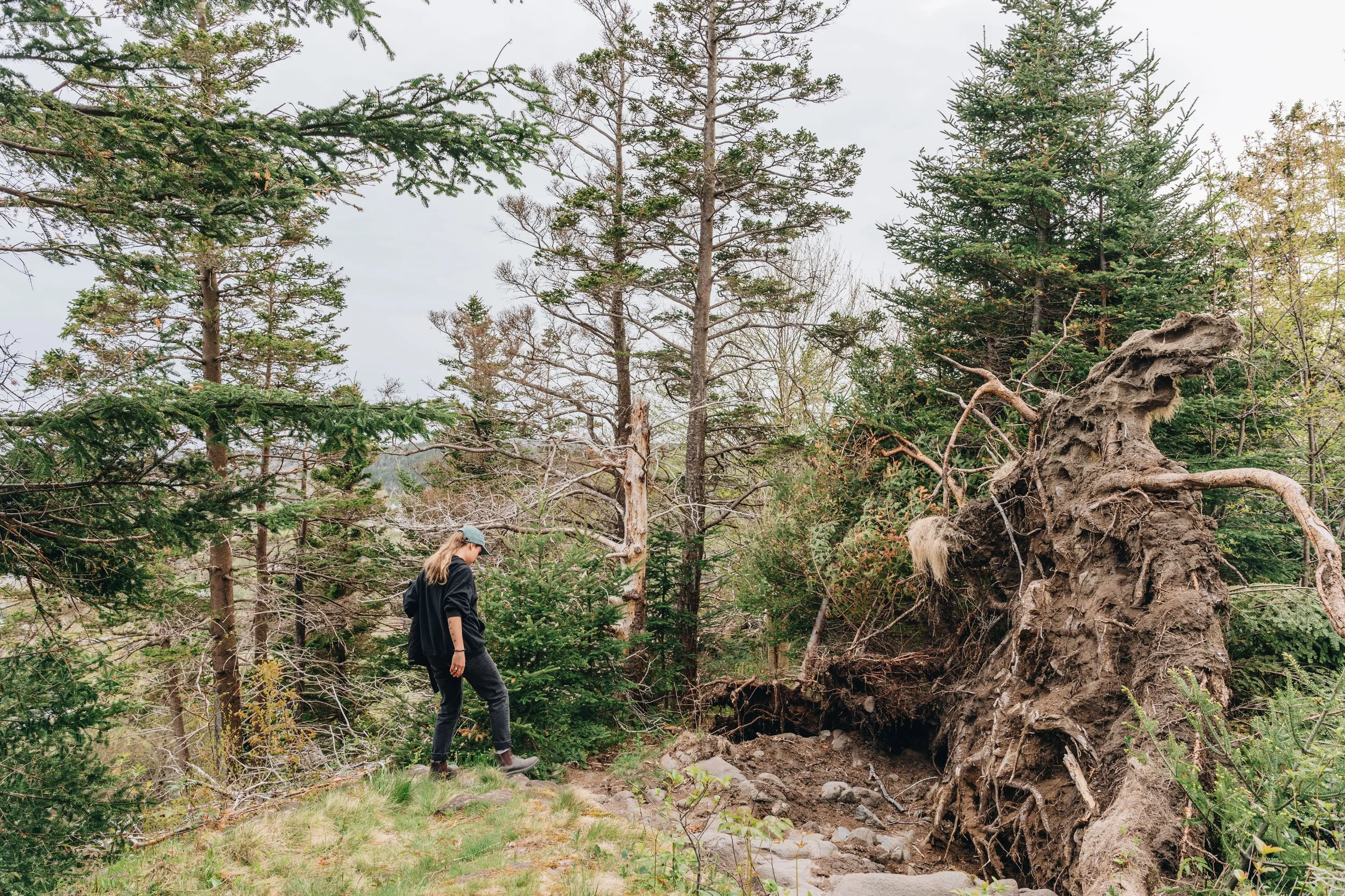 [N-É, Digby] Mount Shubel — On va se promener?