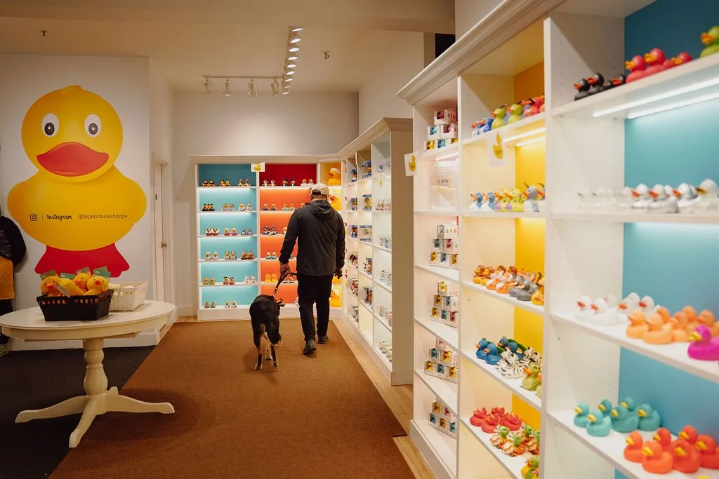 [MTL, Vieux-Montréal] Le Petit Duck Shoppe — On va se promener