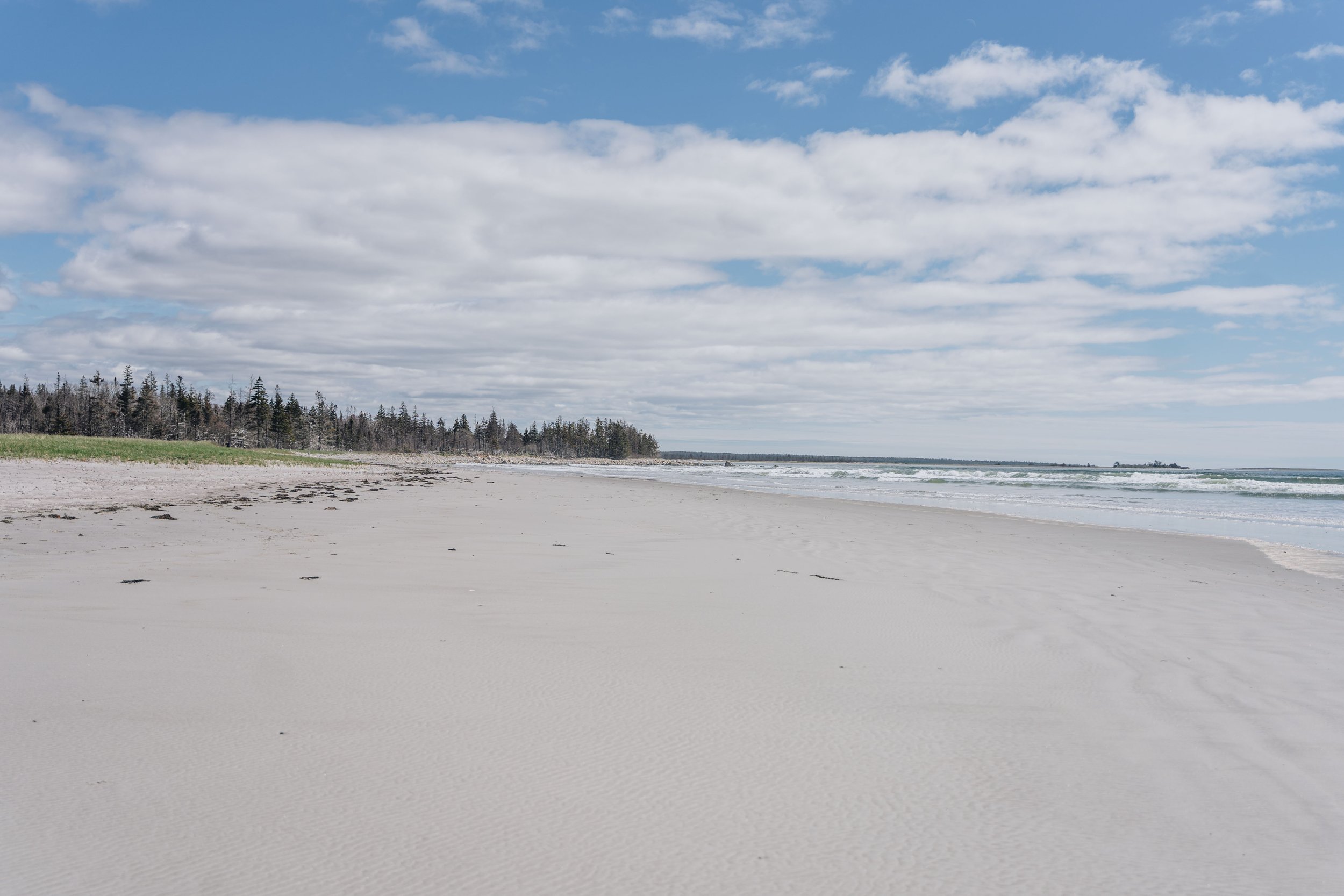 [N-É, Shelburne] Roseway Beach — On va se promener