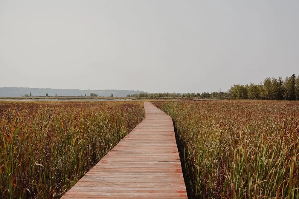 [Sag-Lac, Saint-Fulgence] Parc littoral de Saint-Fulgence, Belvédère ...