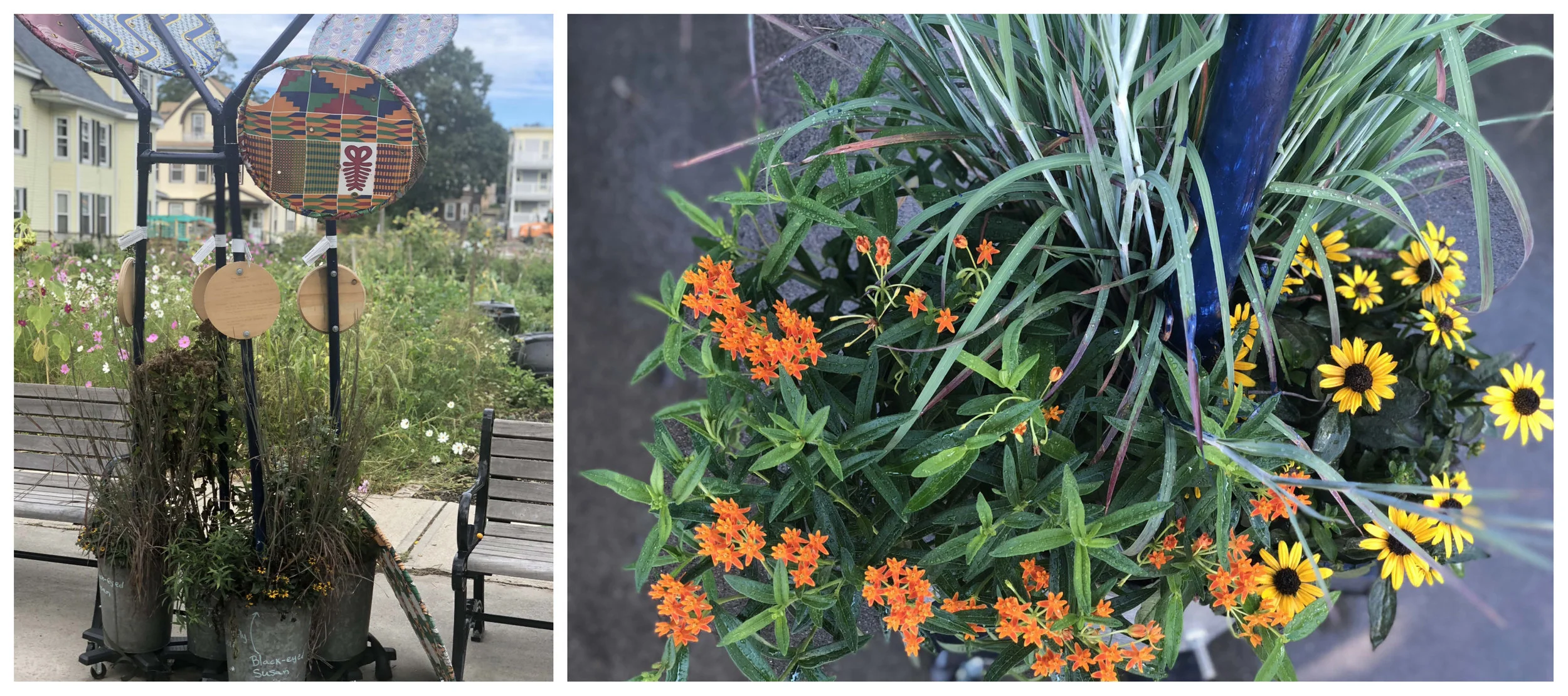 Cross Pollination — Studioful