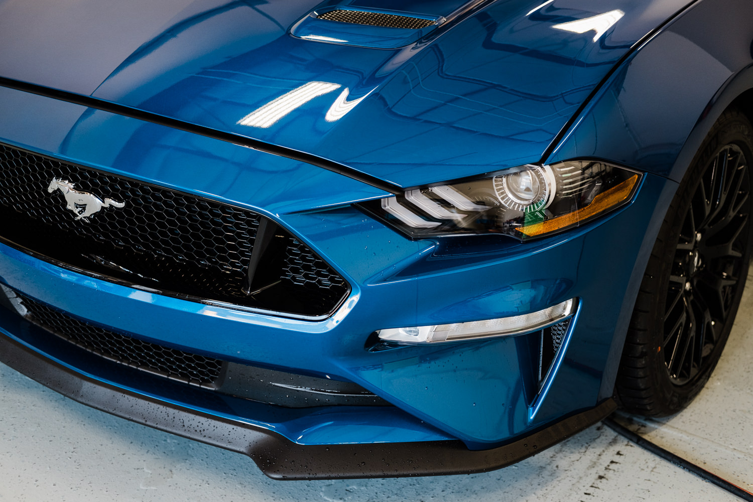 Mustang Blue Paint