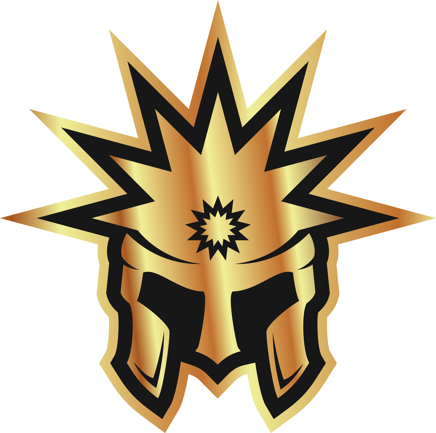 Contact Us — Pro Level Titans