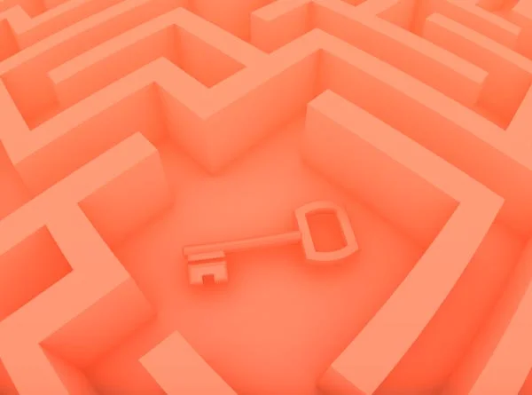 Digital Time Capture