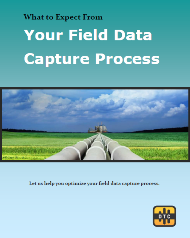 Ebook: Field Data Capture Process — Digital Time Capture