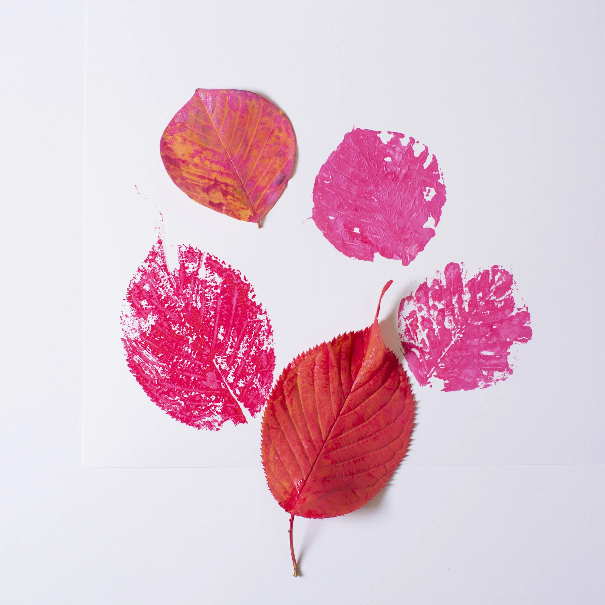 Leaf Printing - projects at home — Minni