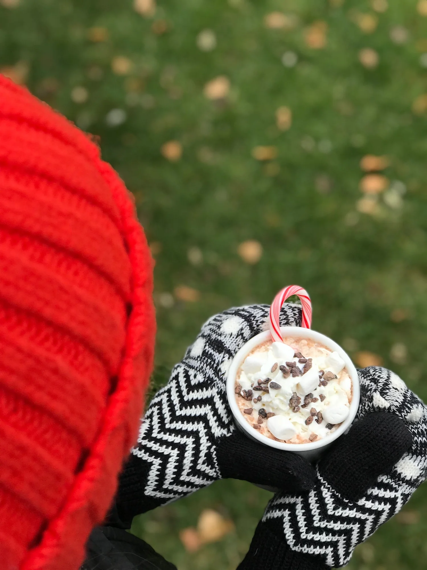 Line & Lee—parties