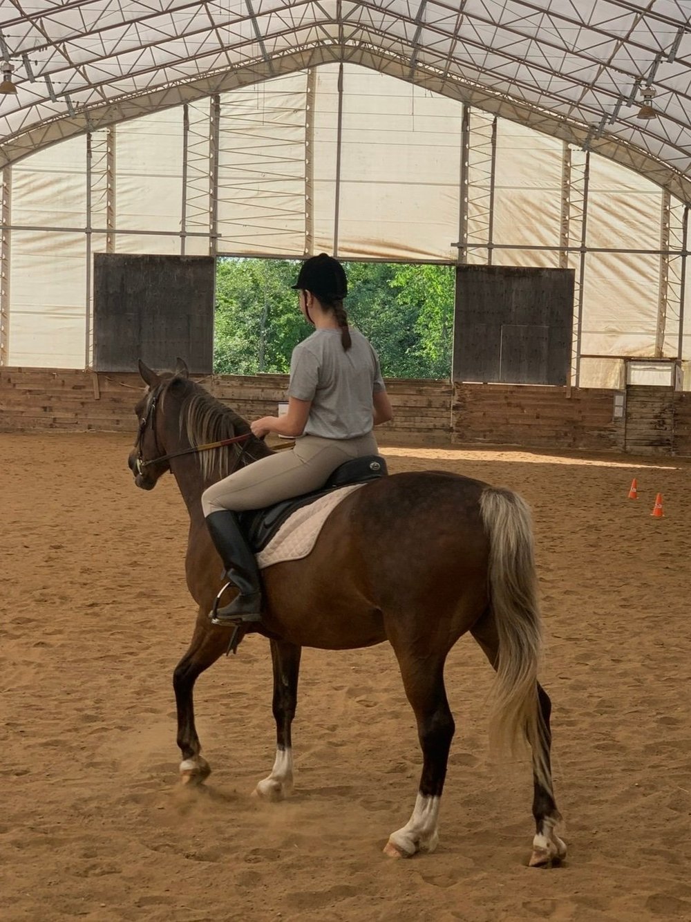 Short Story: Back at Chestnut Ranch — MELINA MARIA MORRY