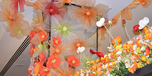 Union Square in Bloom — Union Square Foundation
