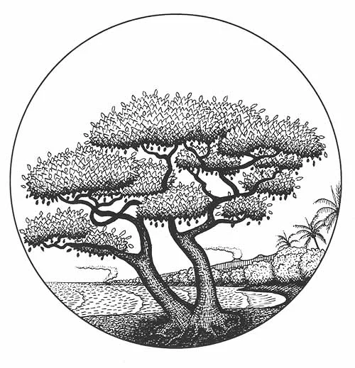 Molave Tree Drawing