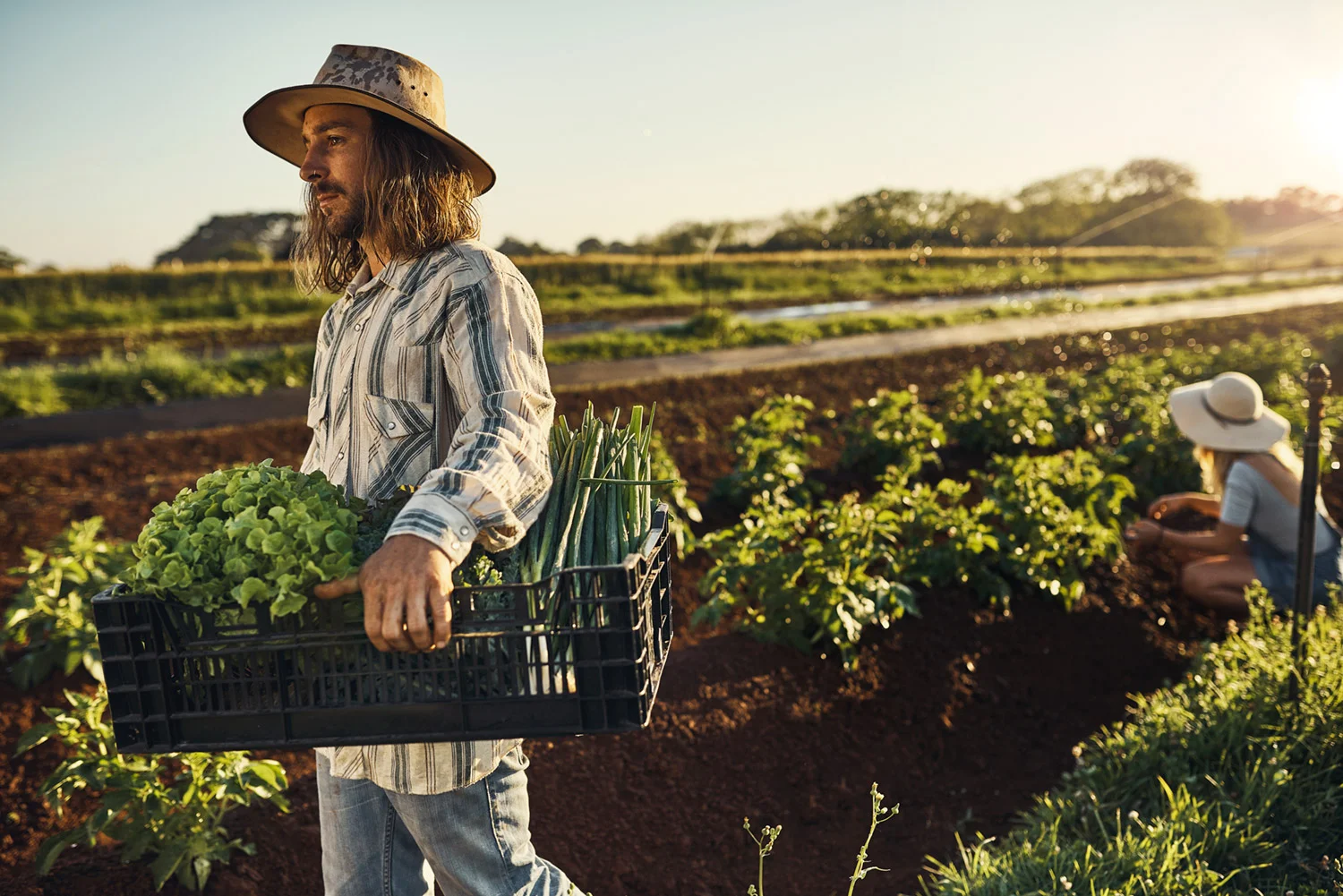 About — The Farm Byron Bay