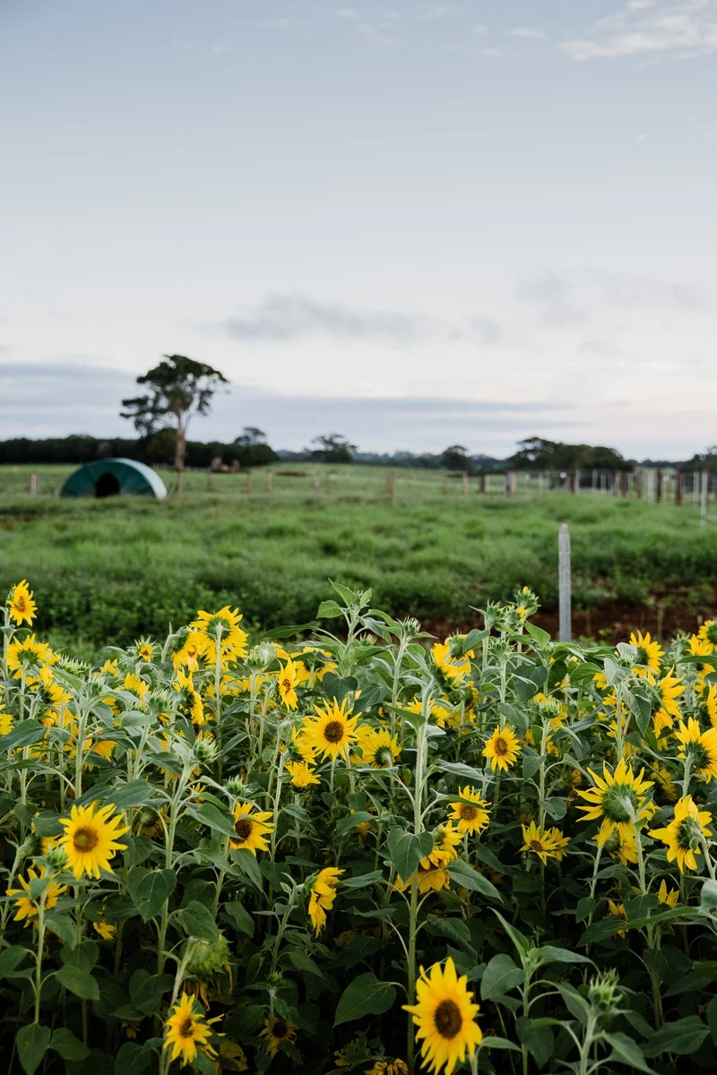 The Farm Byron Bay