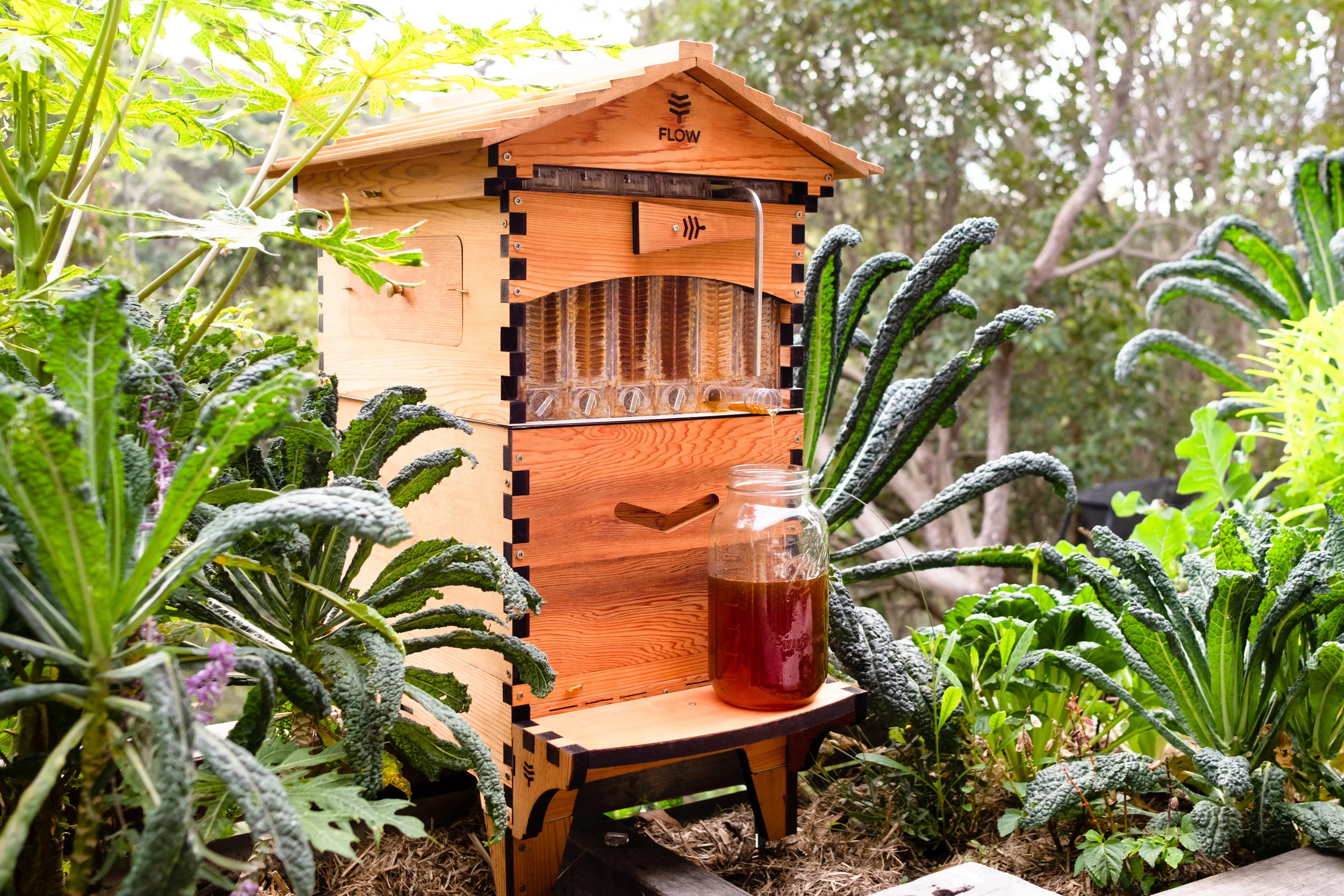 Flow Hive - Apiary — The Farm Byron Bay