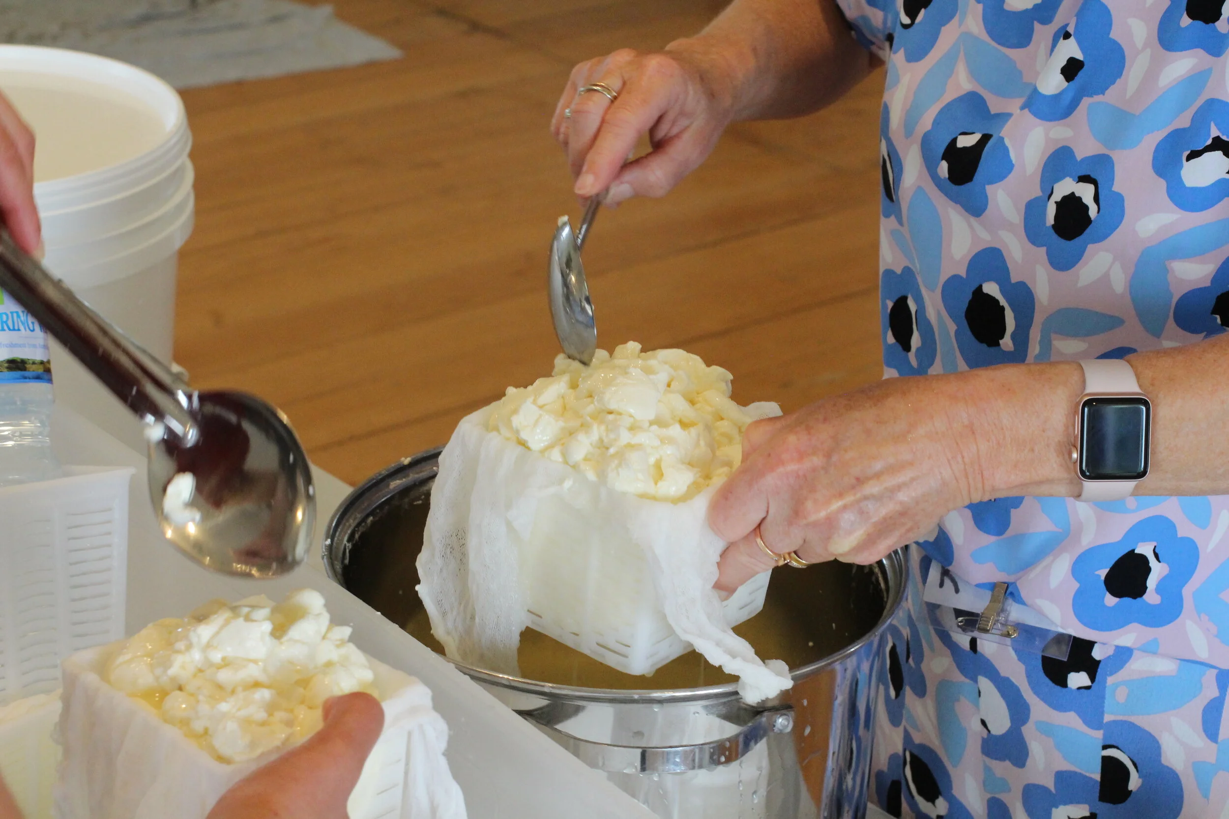 Milk Curd Cheese, Cheesemaking Workshop - Apr 18 — The Farm Byron Bay