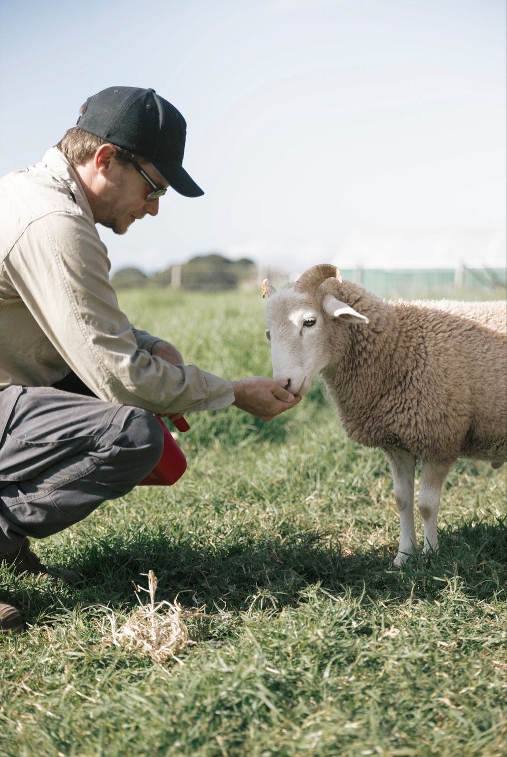 Guided Farm Tours — The Farm Byron Bay
