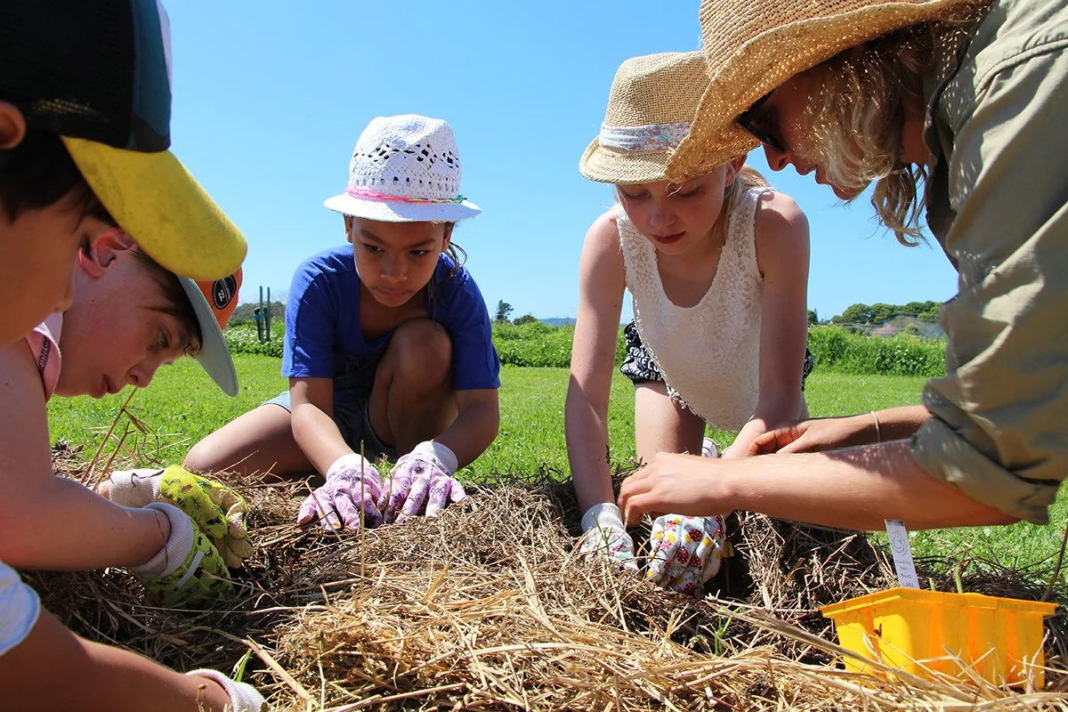 Kids Activities — The Farm Byron Bay
